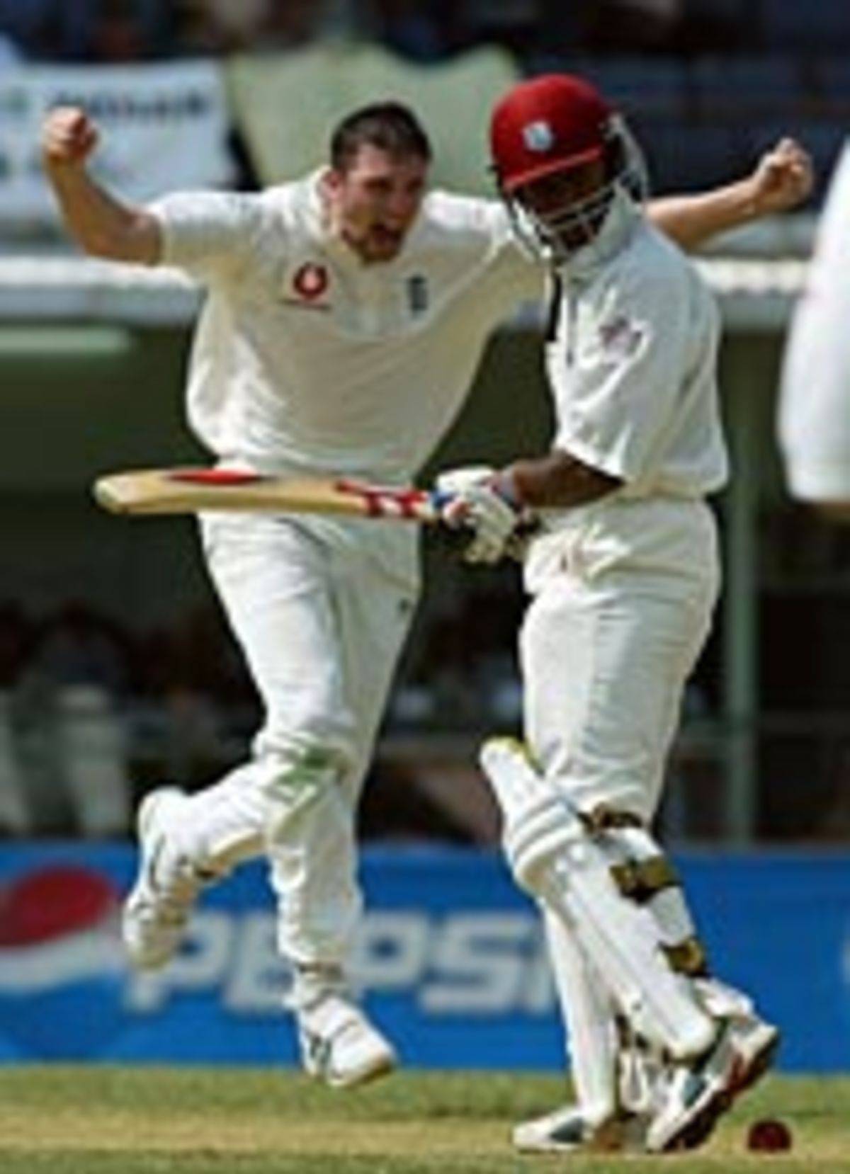 Steve Harmison celebrates | ESPNcricinfo.com