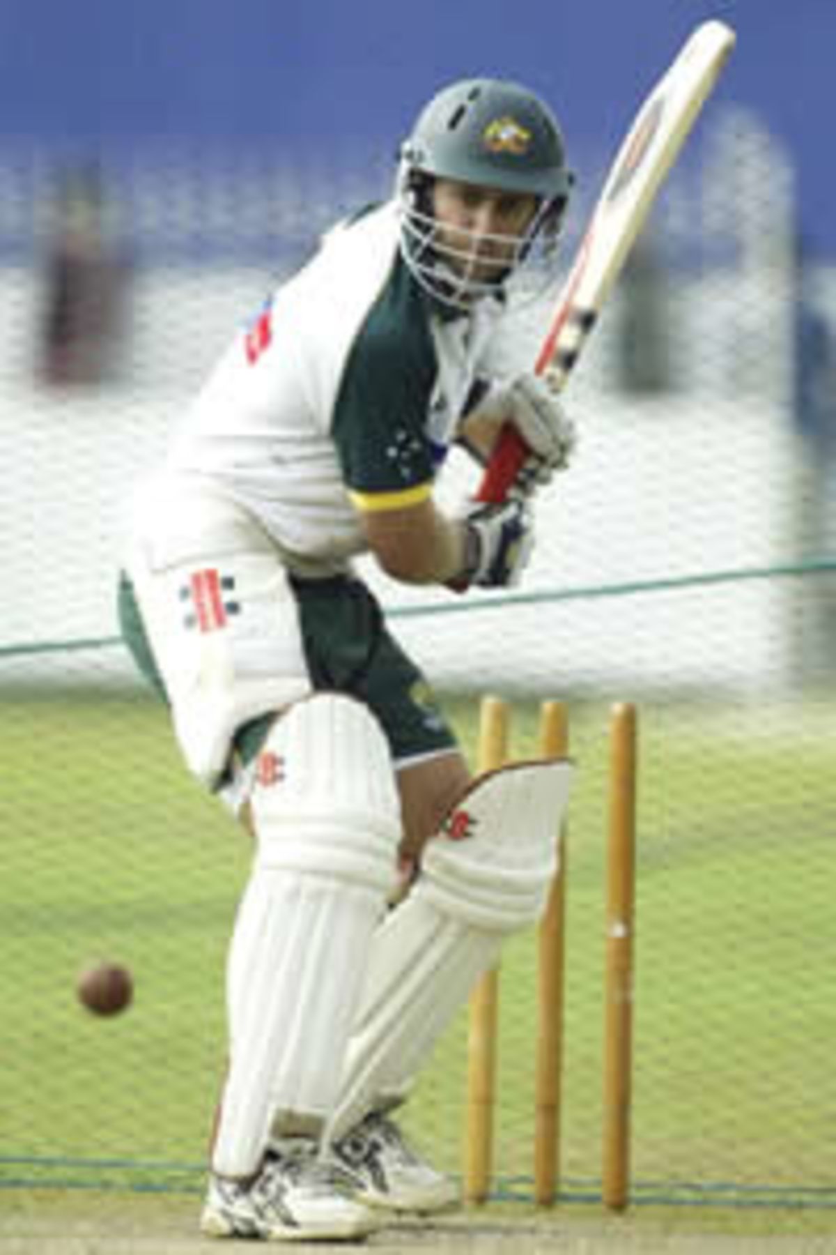 Katich In The Nets