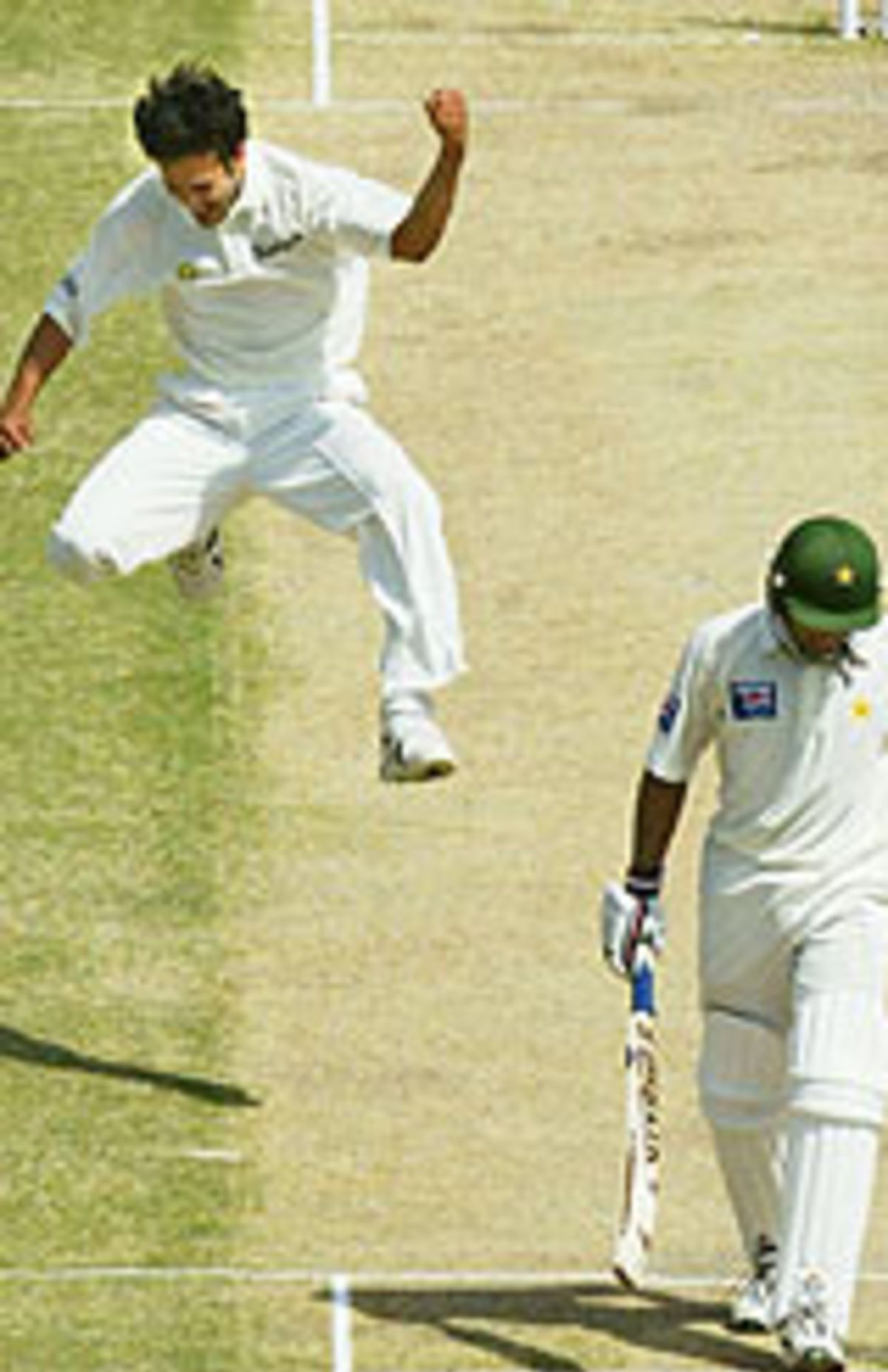 Village Cricket - book cover | ESPNcricinfo.com