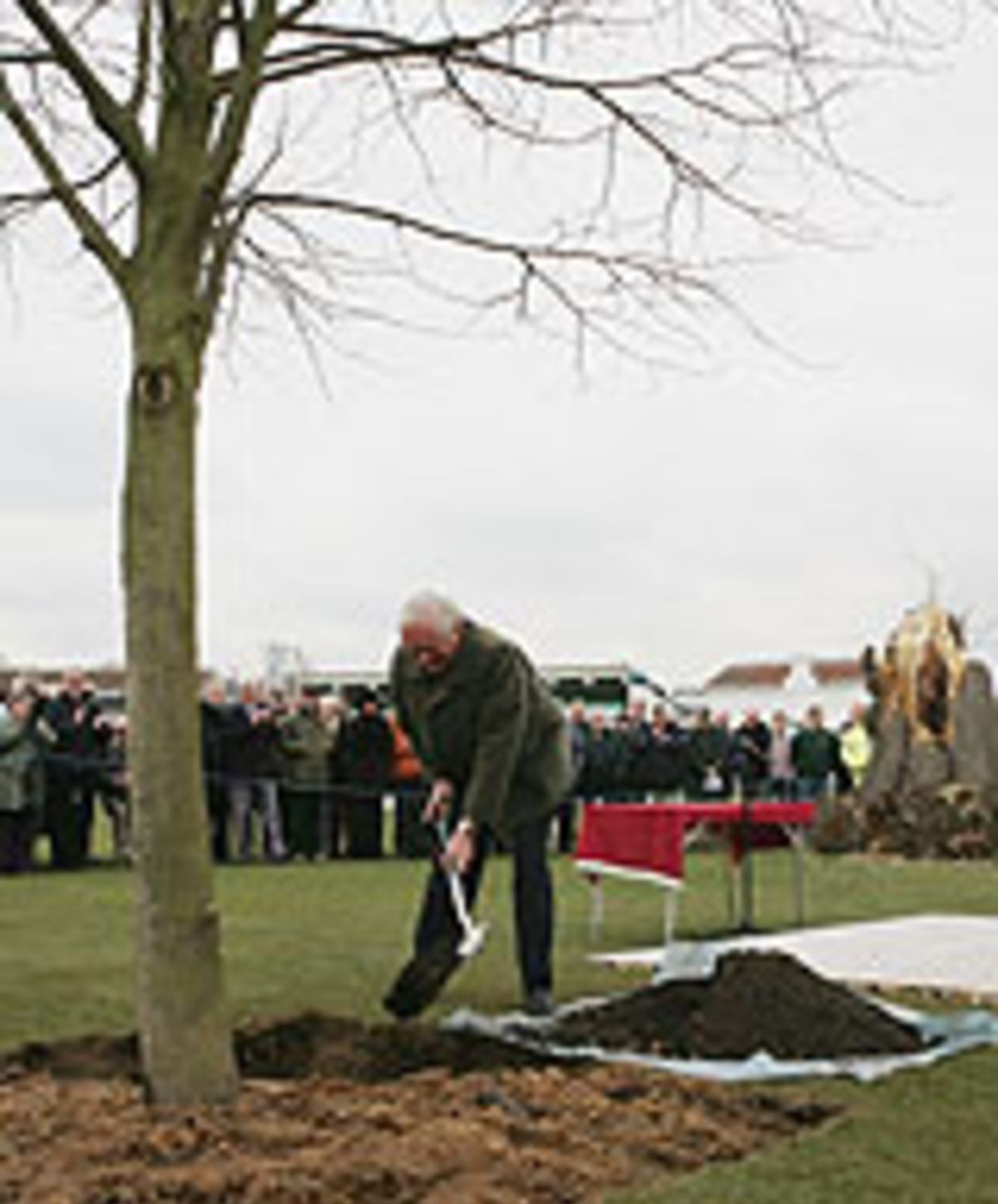 Robert Neame plants the new lime tree | ESPNcricinfo.com