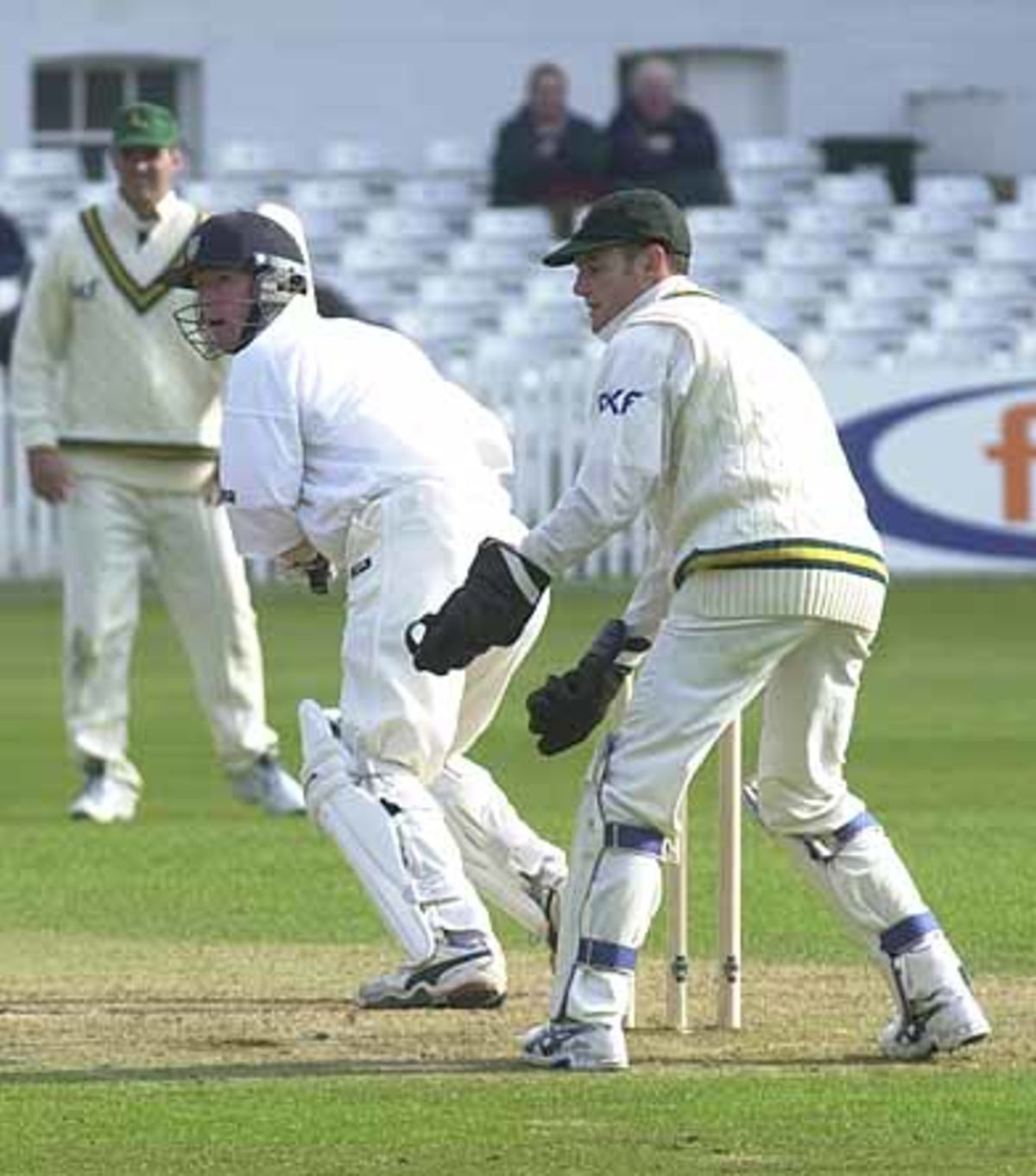 Paul Franks with an animated appeal | ESPNcricinfo.com