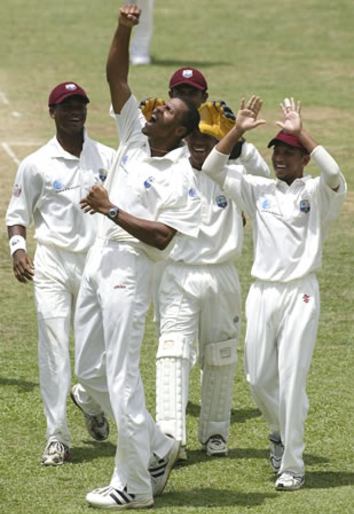 Merv Dillon celebrates after trapping Hayden lbw | ESPNcricinfo.com