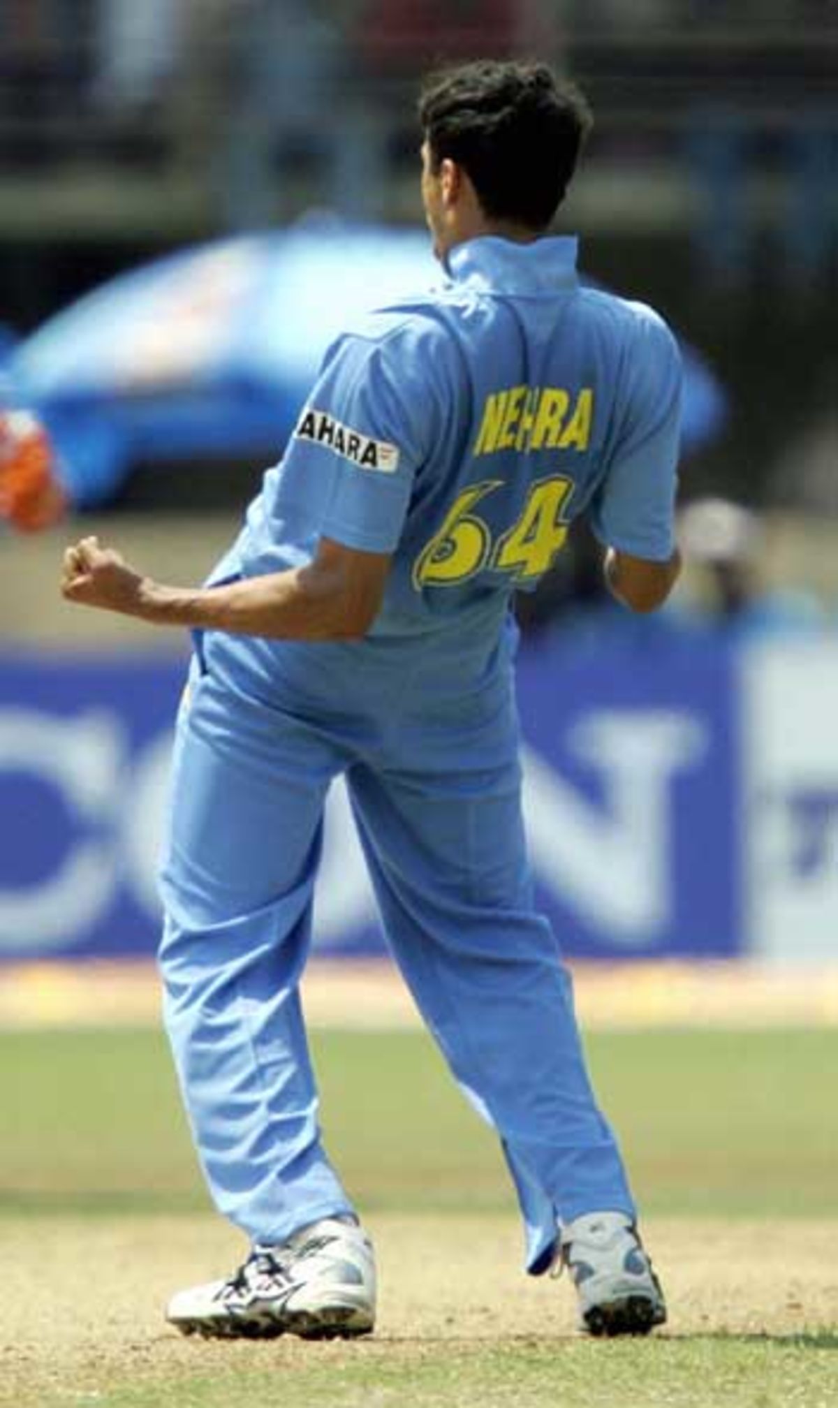 Ashish Nehra celebrates picking up a wicket on his comeback ...