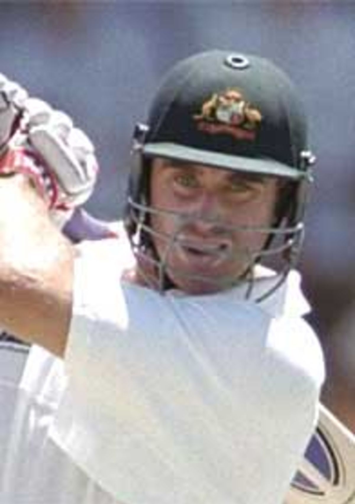 Matthew Hayden - Portrait 1999 | ESPNcricinfo.com