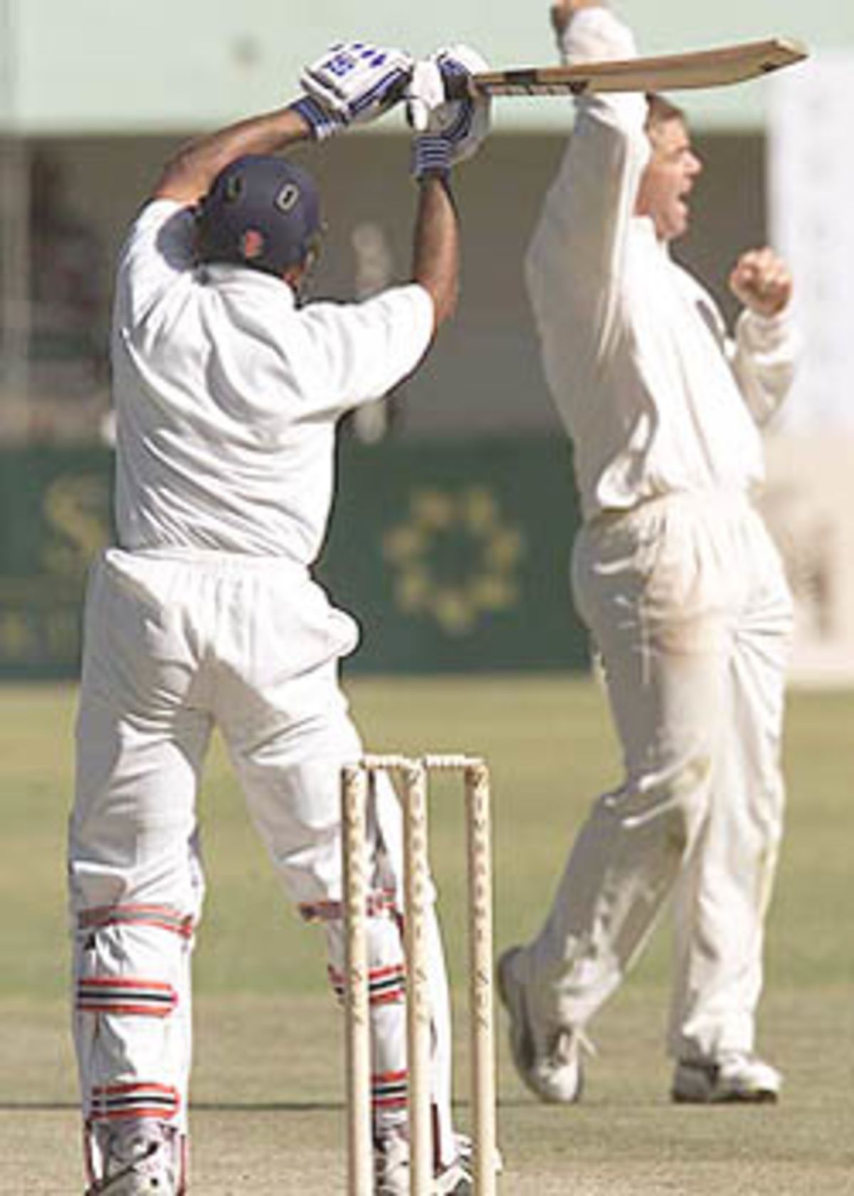 Heath Streak exults after dismissing Sameer Dighe | ESPNcricinfo.com