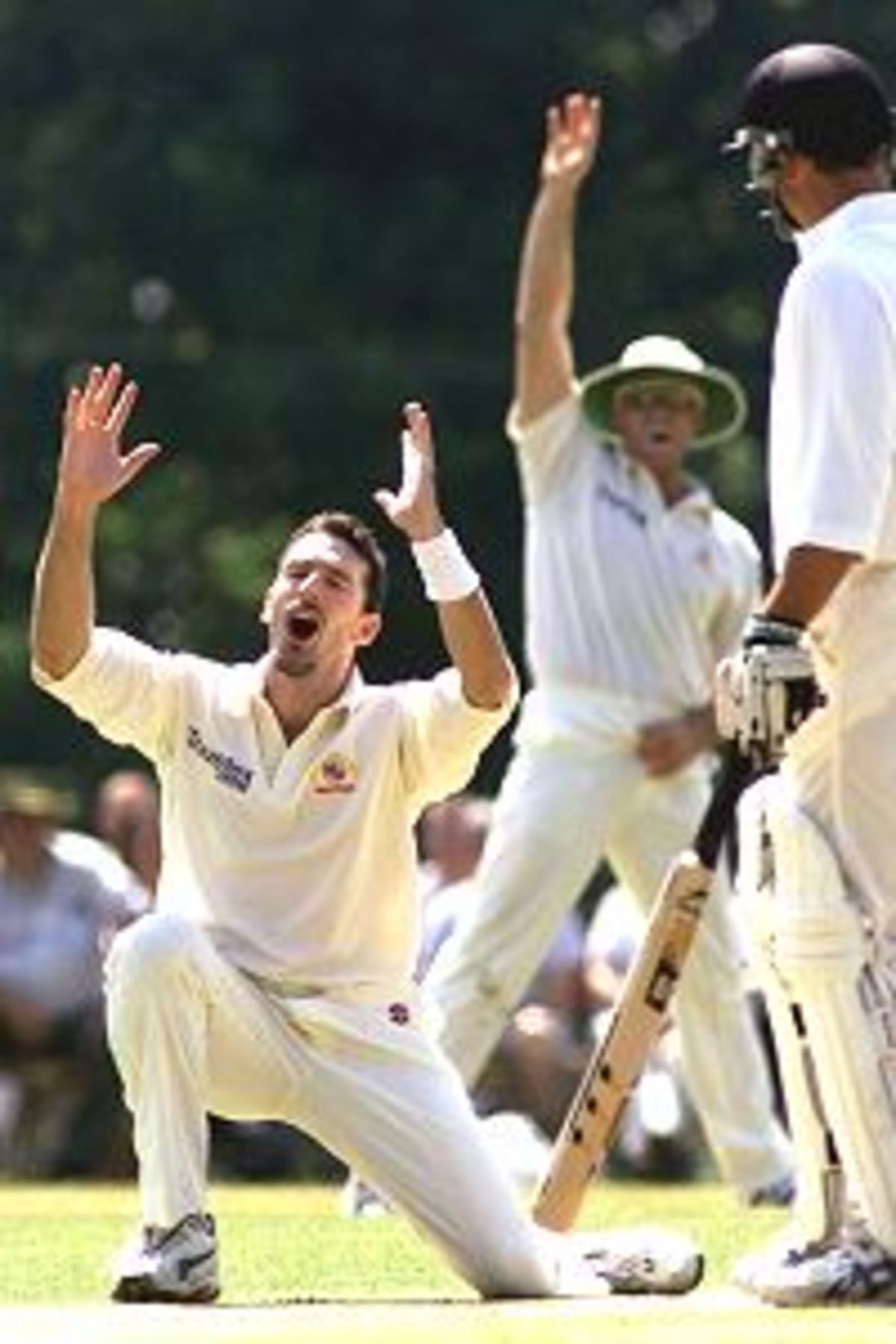 Damien Fleming unsuccessfully appeals aginst the MCC | ESPNcricinfo.com