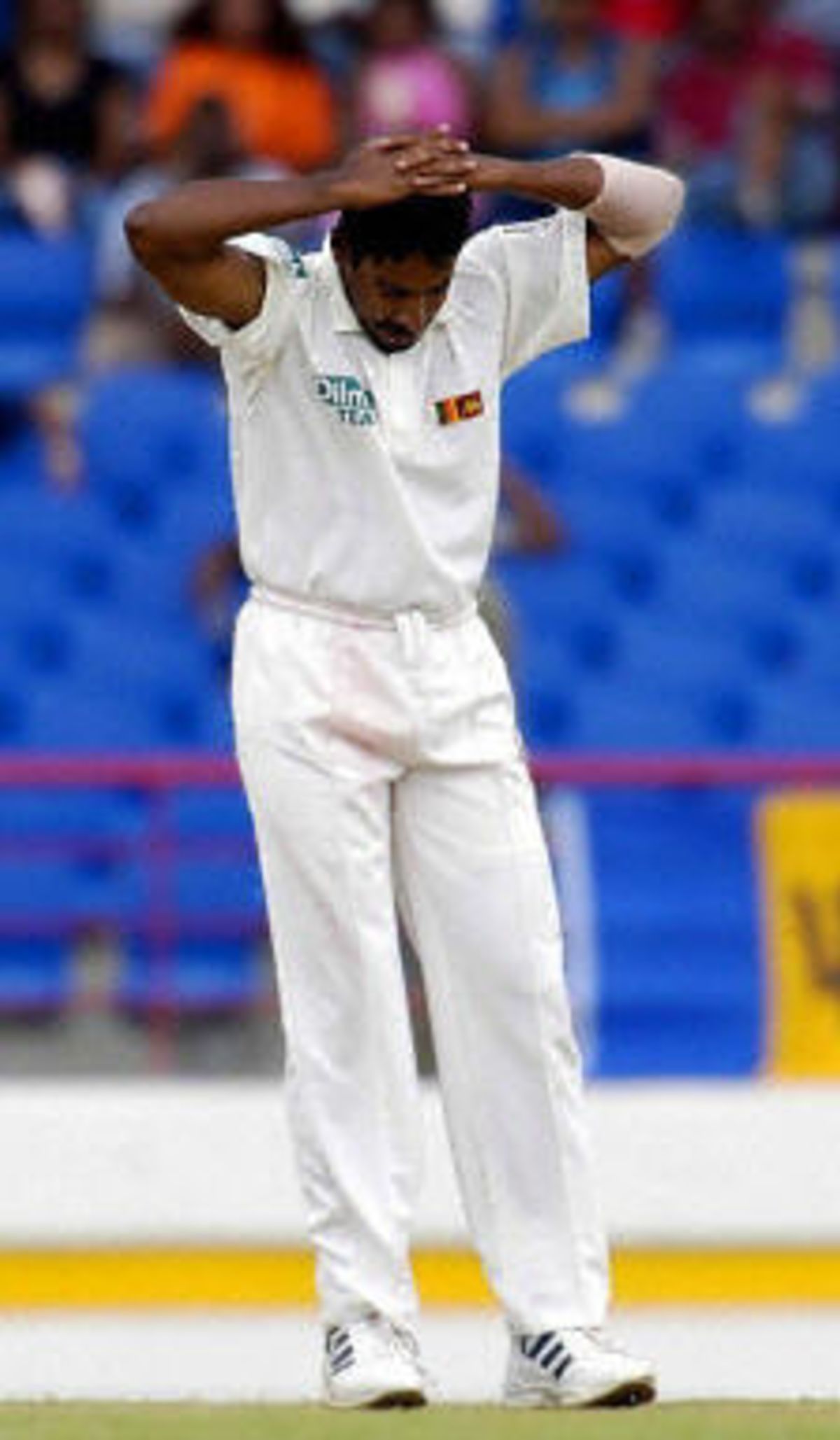 Corey Collymore celebrates wicket of Thilan Samaraweera. | ESPNcricinfo.com