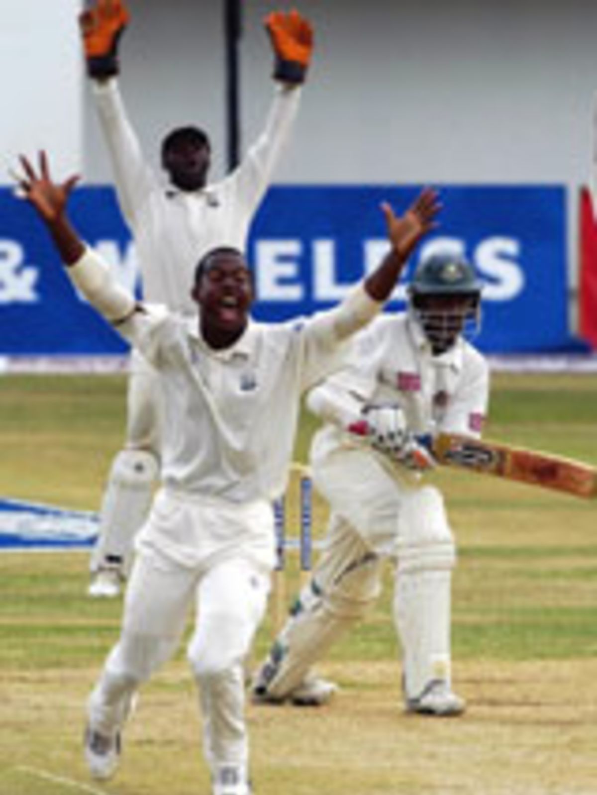 Dwayne Smith appeals | ESPNcricinfo.com