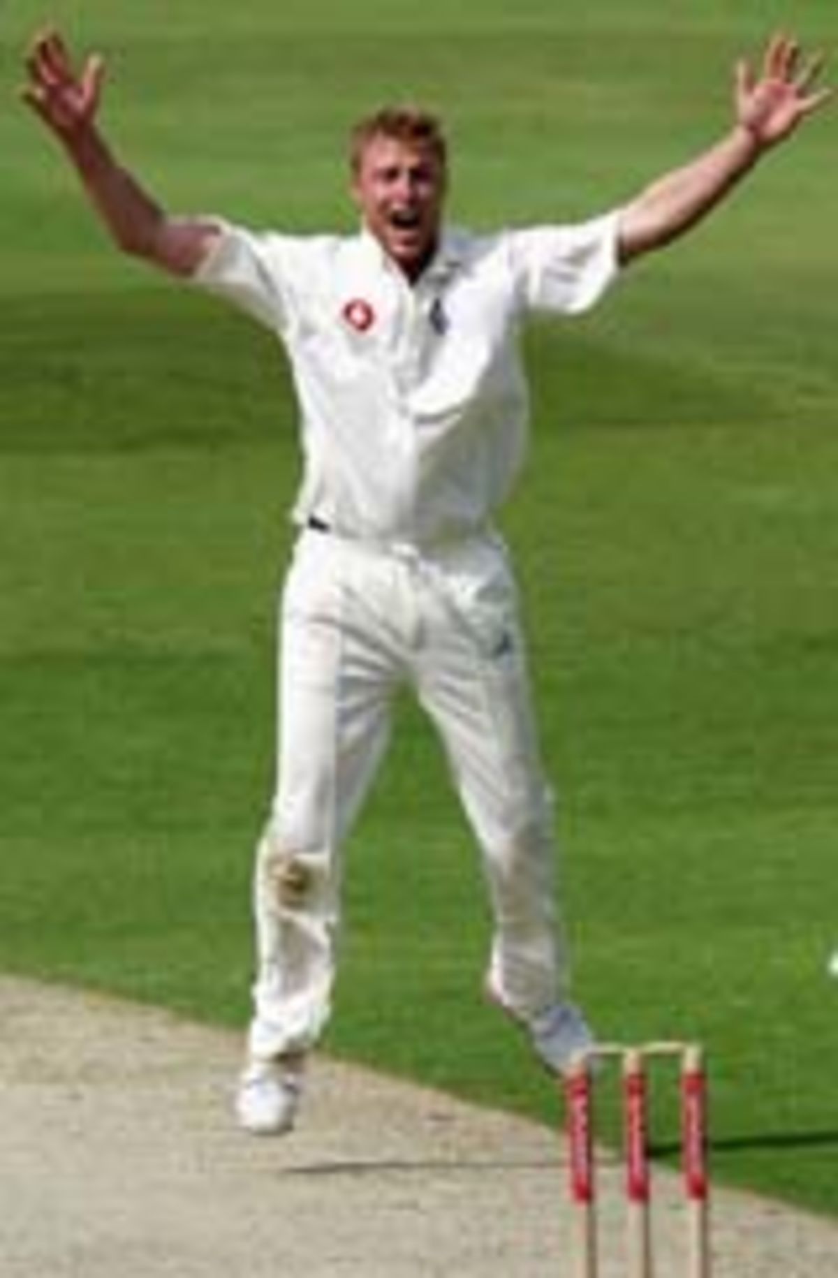 Andrew Flintoff celebrates | ESPNcricinfo.com
