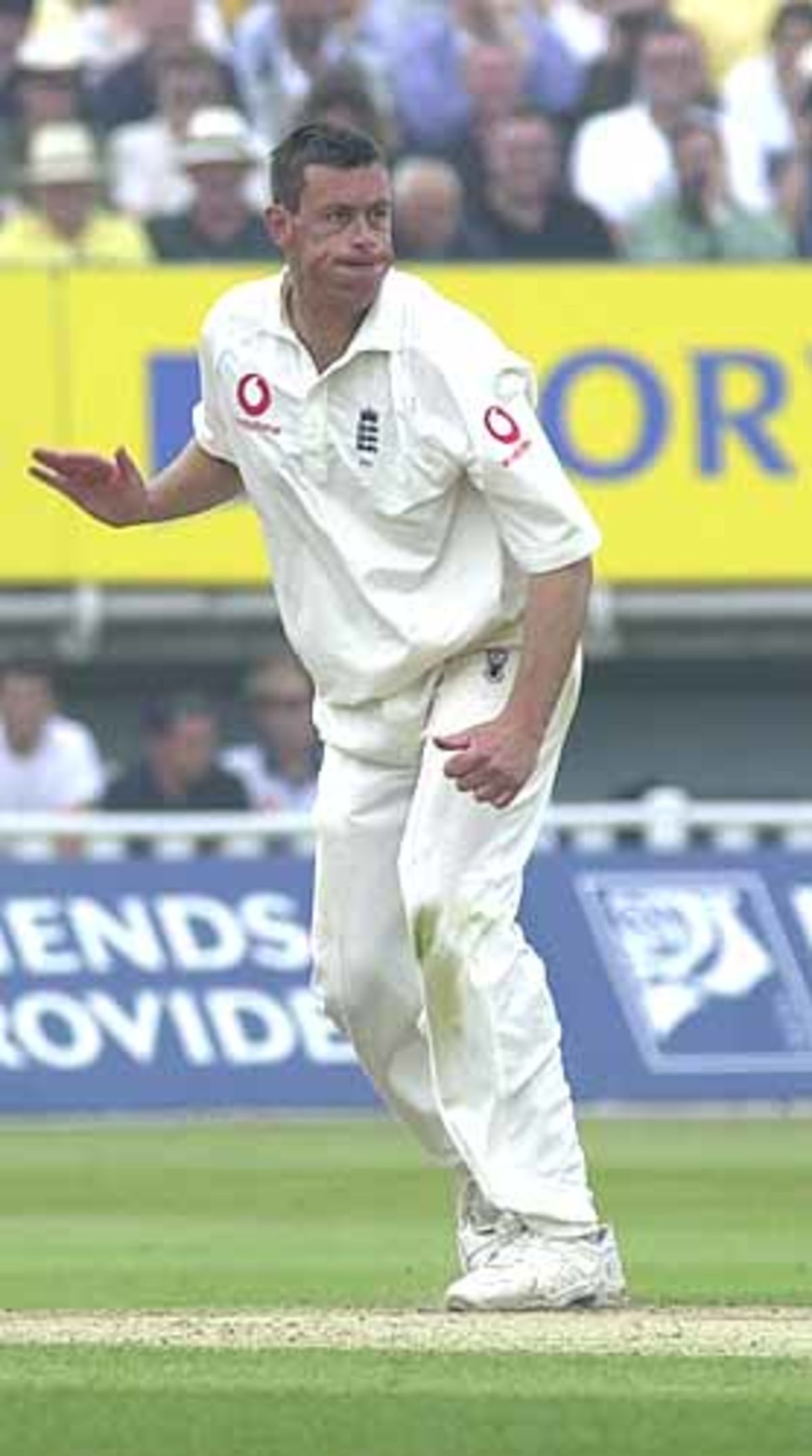 Gillespie at Birmingham 2001 | ESPNcricinfo.com