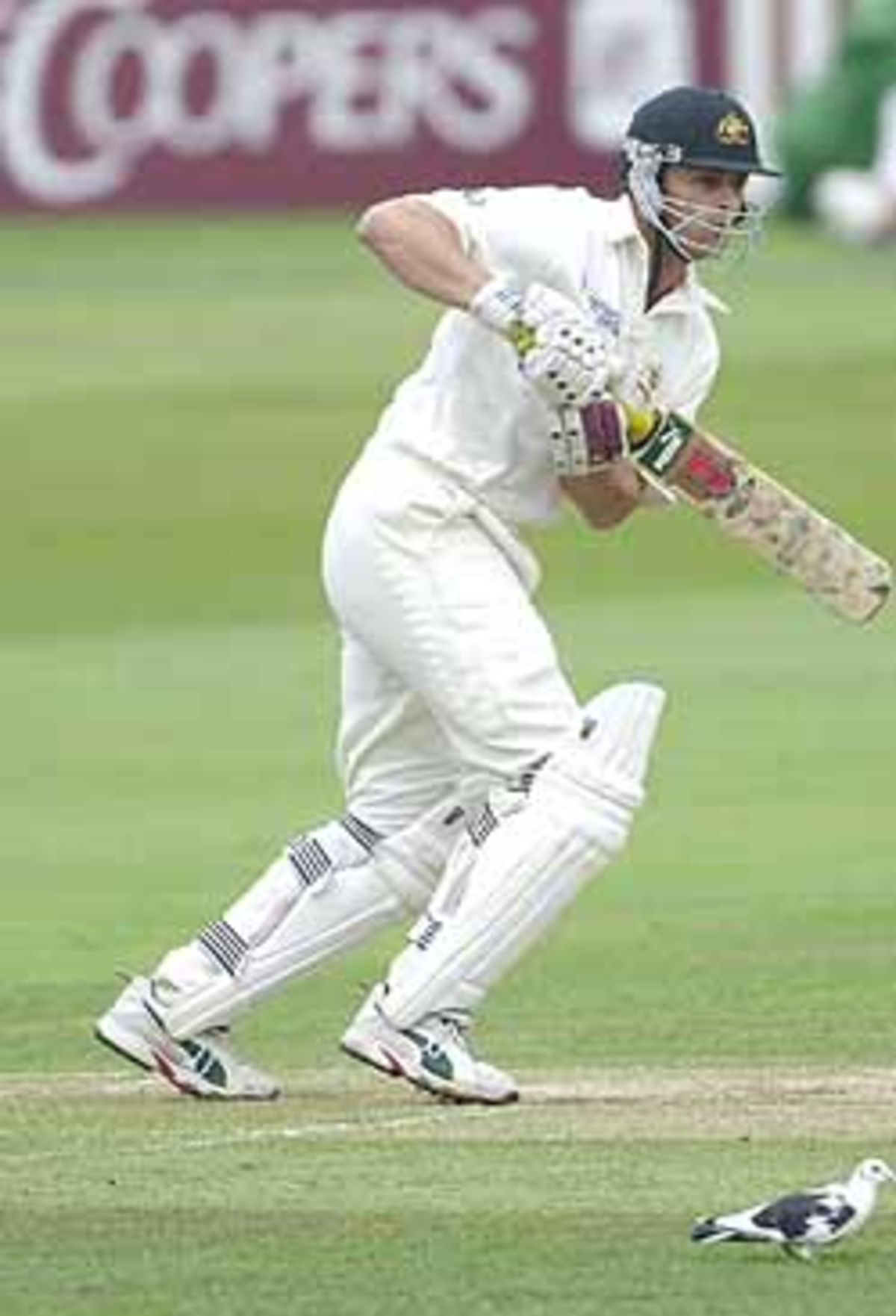 Andy Caddick s'show image | ESPNcricinfo.com