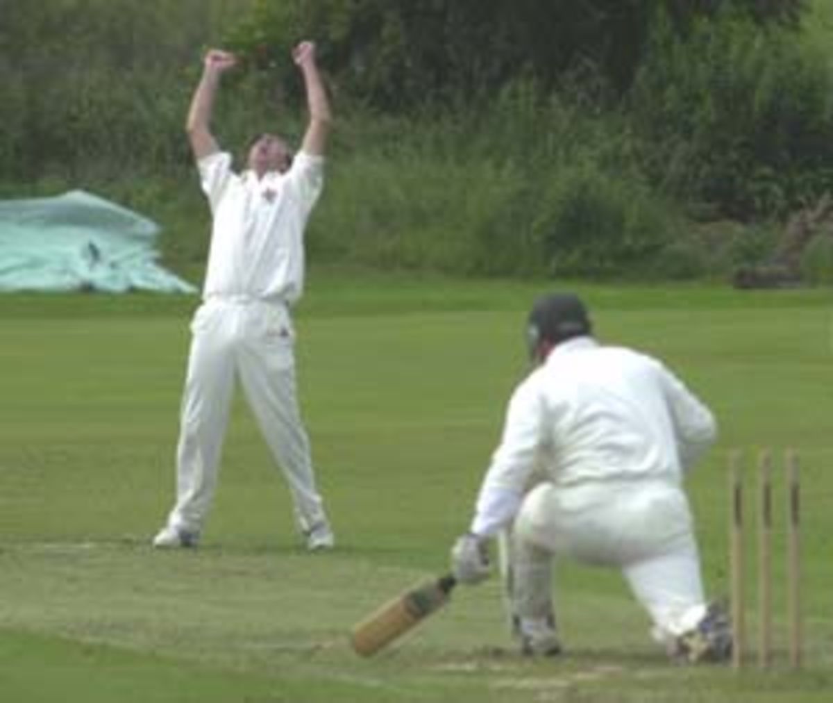 Matt Wilson | ESPNcricinfo.com