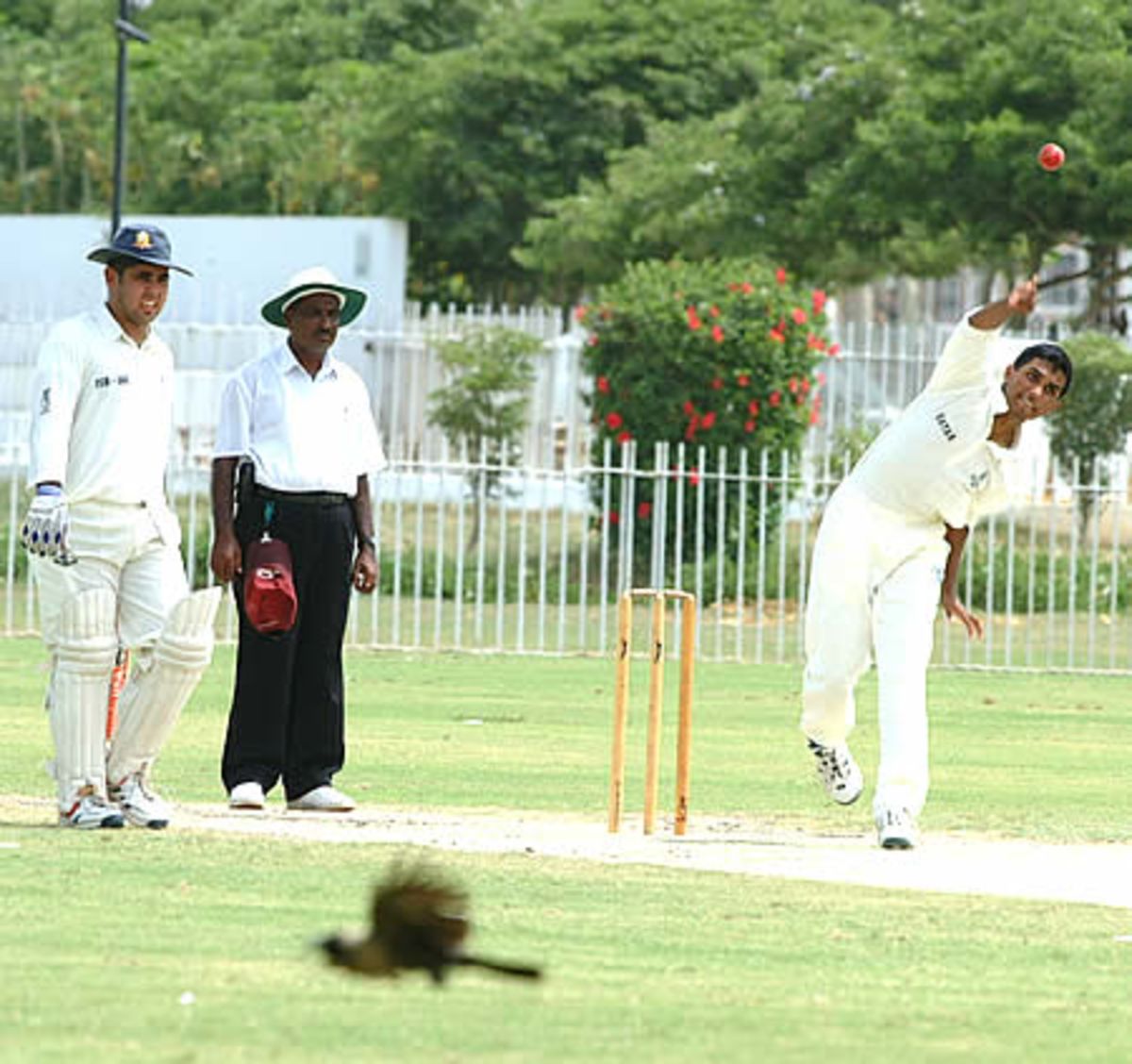 Qasim Zubair of U.A.E in action | ESPNcricinfo.com