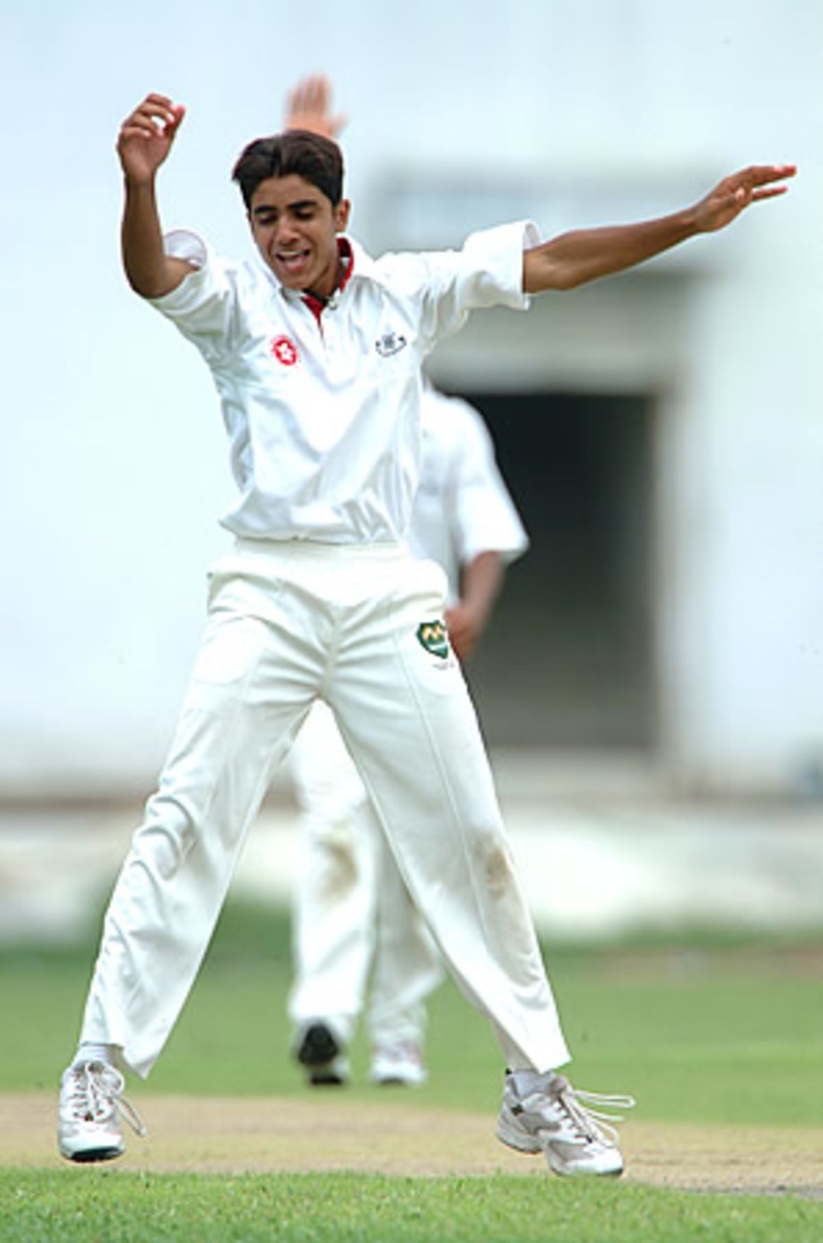 Hemang Badani on his way to a half-century | ESPNcricinfo.com