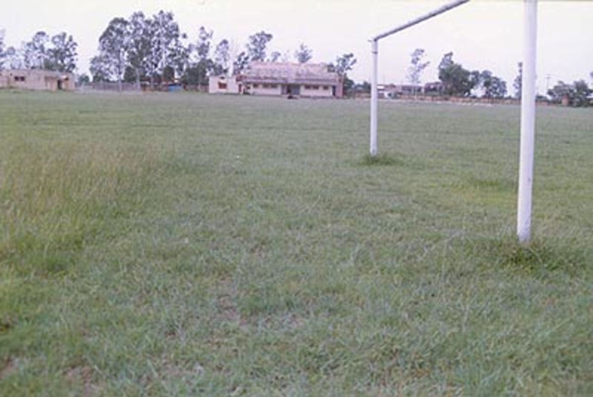 The lush green turf at the Indra Gandhi Stadium | ESPNcricinfo.com
