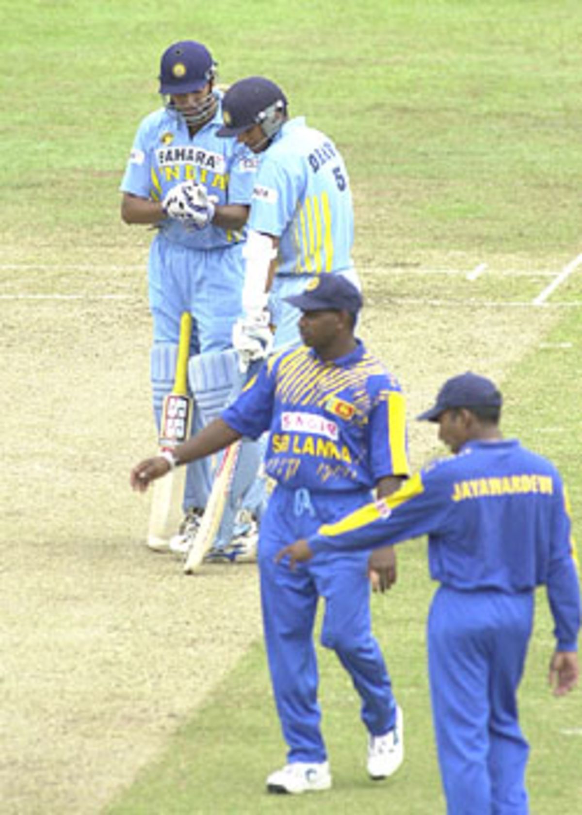 The pitch at the Sinhalese Sports Club Ground is rolled in overcast ...