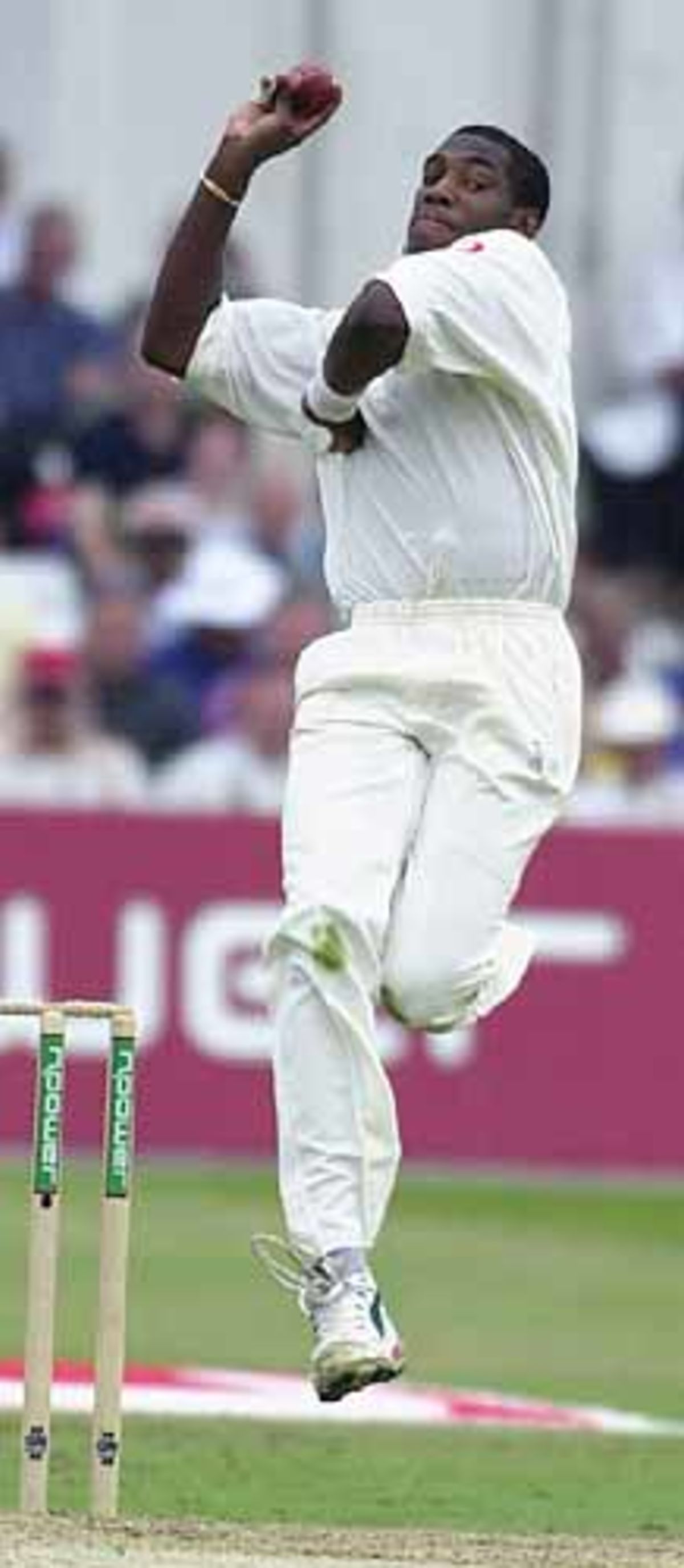 Shane Warne bowling study 2001 | ESPNcricinfo.com