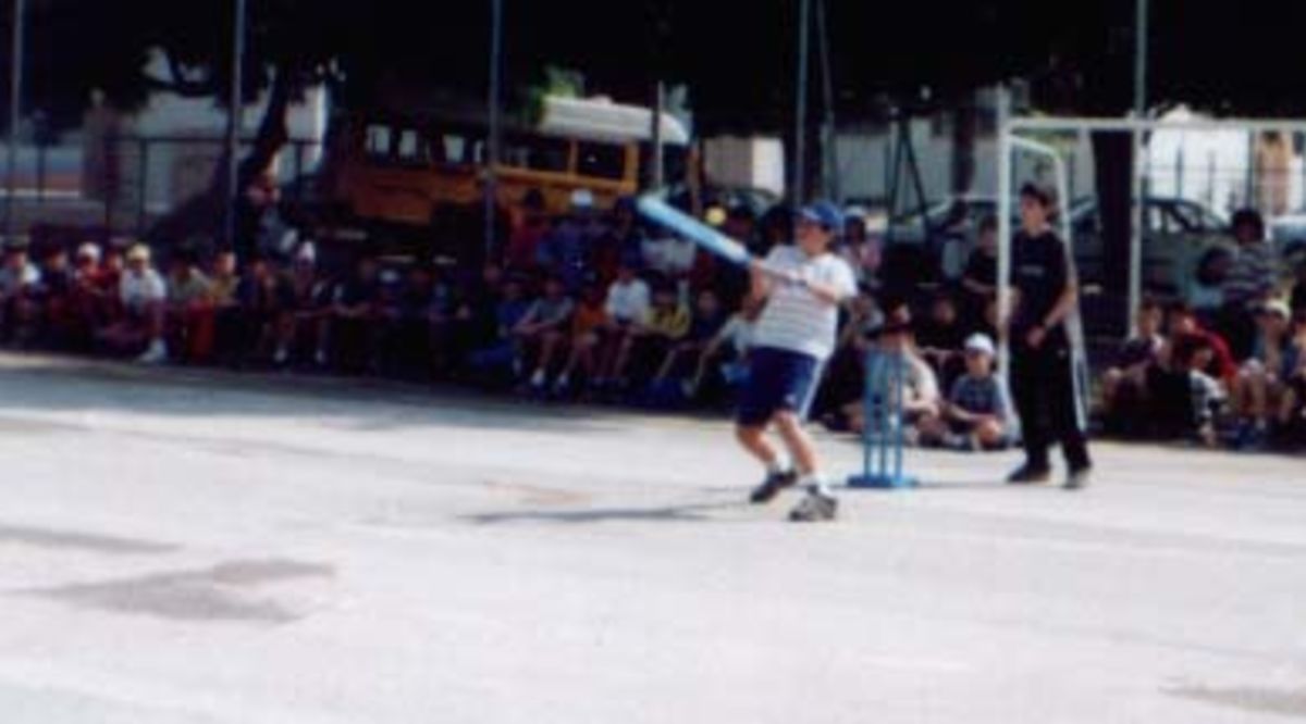 Cricket Day 2001 in Iceland | ESPNcricinfo.com