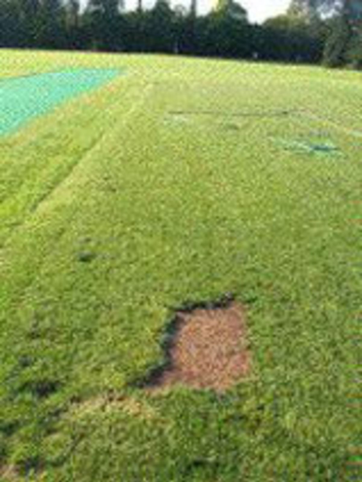 New stadium in Guyana | ESPNcricinfo.com