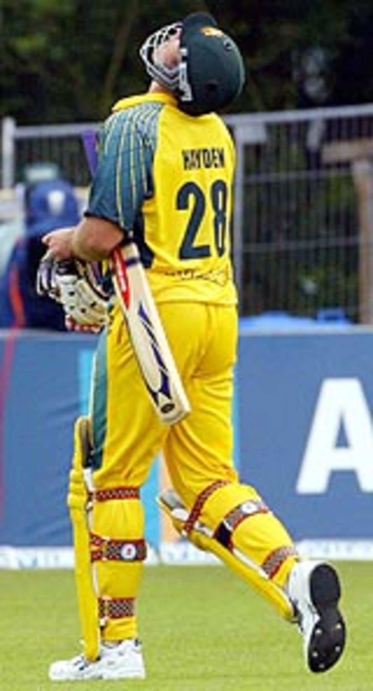 Lakshmipathy Balaji celebrates after dismissing Matthew Hayden ...