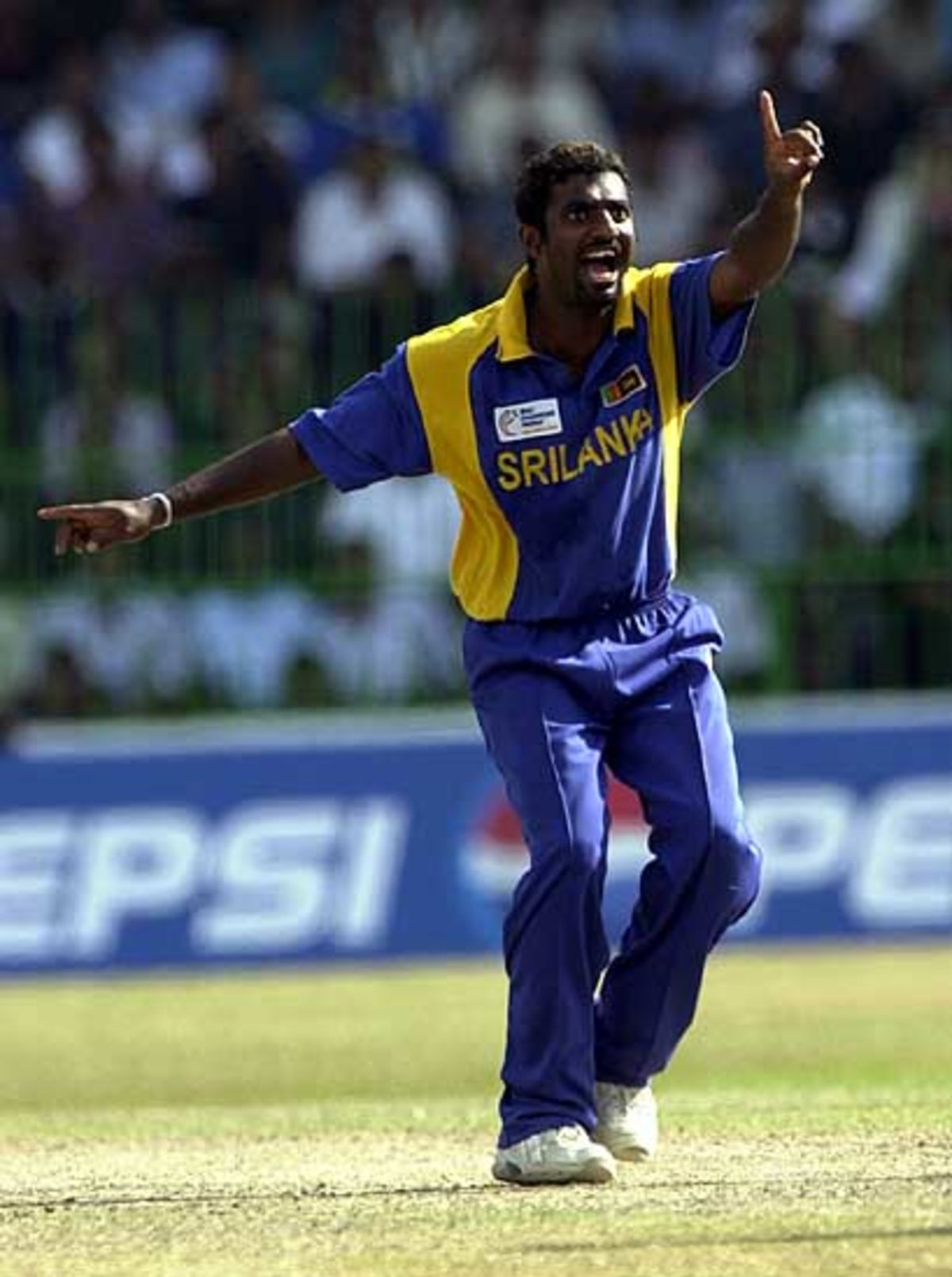 Atapattu and Jayasuriya can afford to dance as Lehmann is run out ...