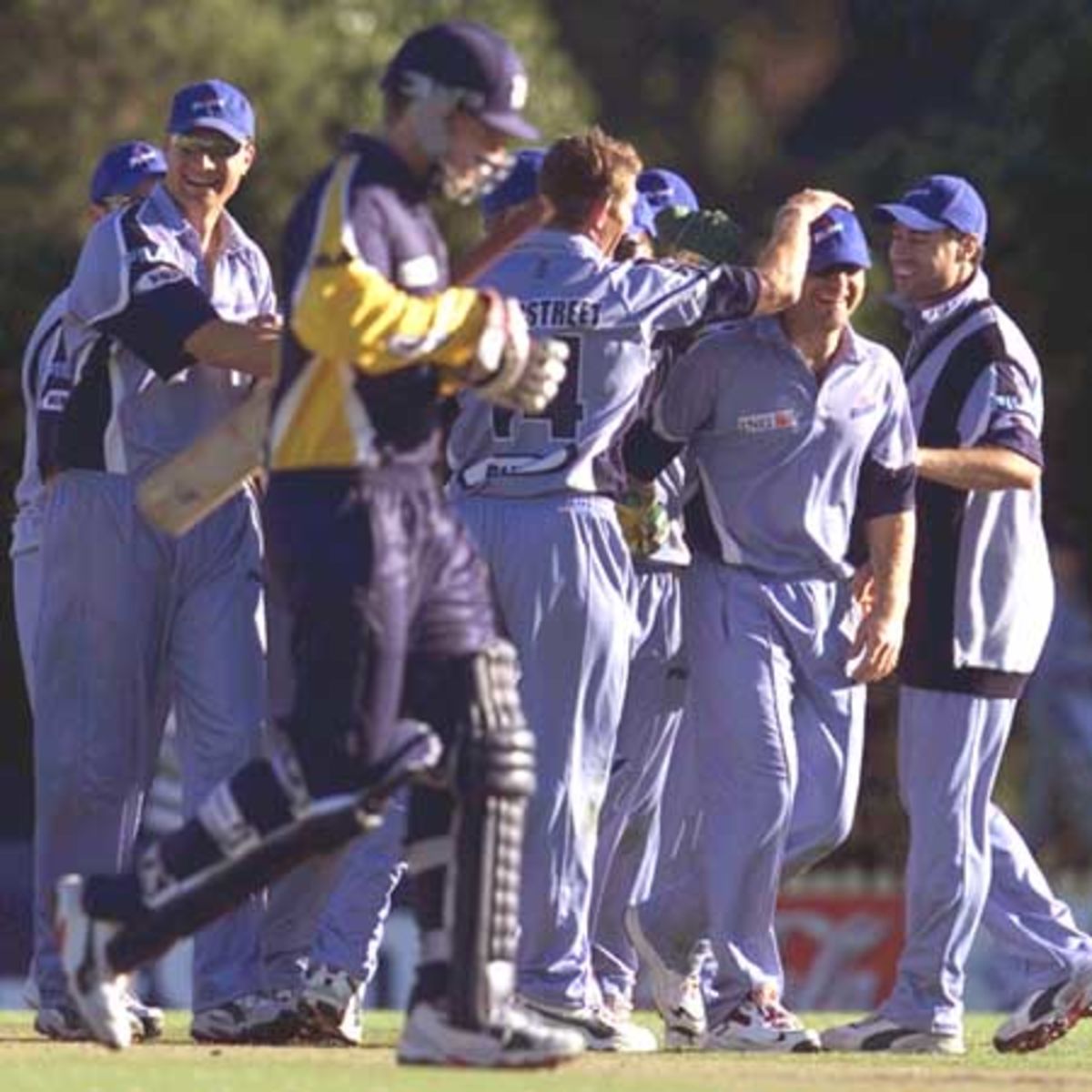 MacGill celebrates the wicket of Berry, New South Wales v Victoria, ING ...