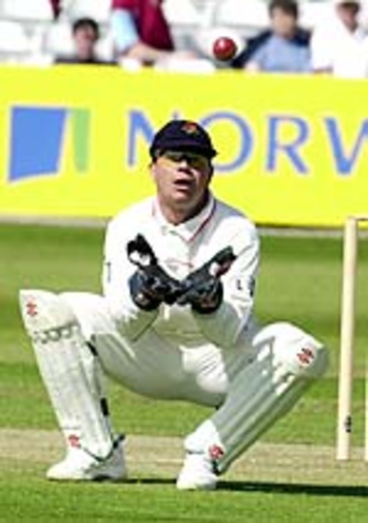 Warren Hegg fielding portrait 2001, thumbnail | ESPNcricinfo.com