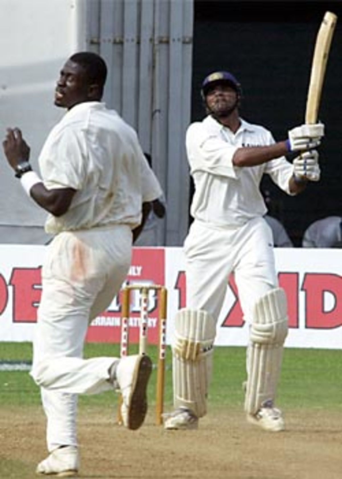 Cameron Cuffy exults after dismissing Harbhajan | ESPNcricinfo.com