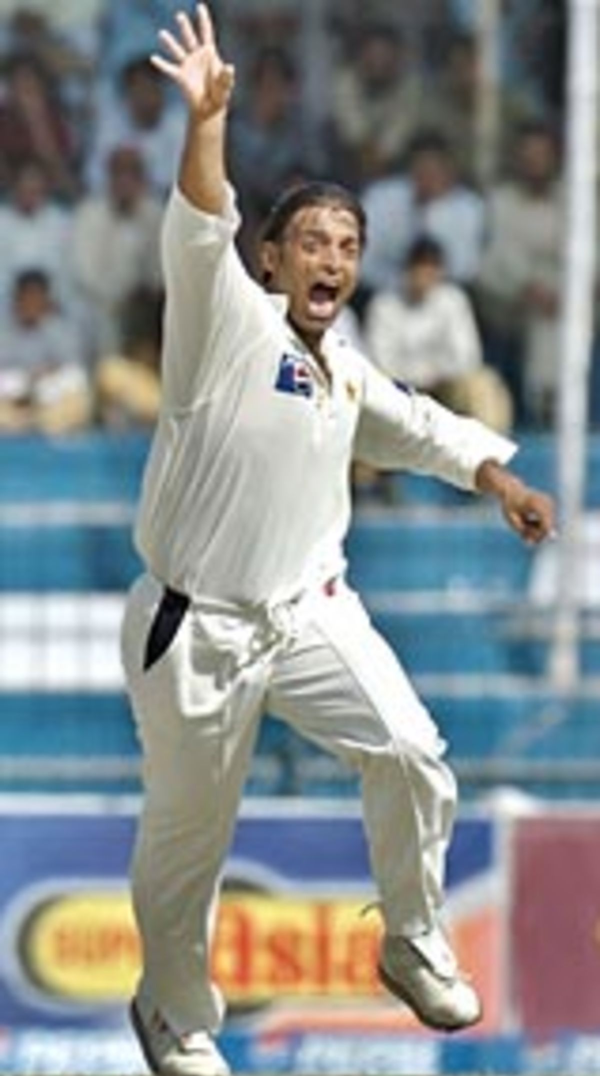 Shoaib Akhtar celebrates dismissing Marvan Atapattu | ESPNcricinfo.com