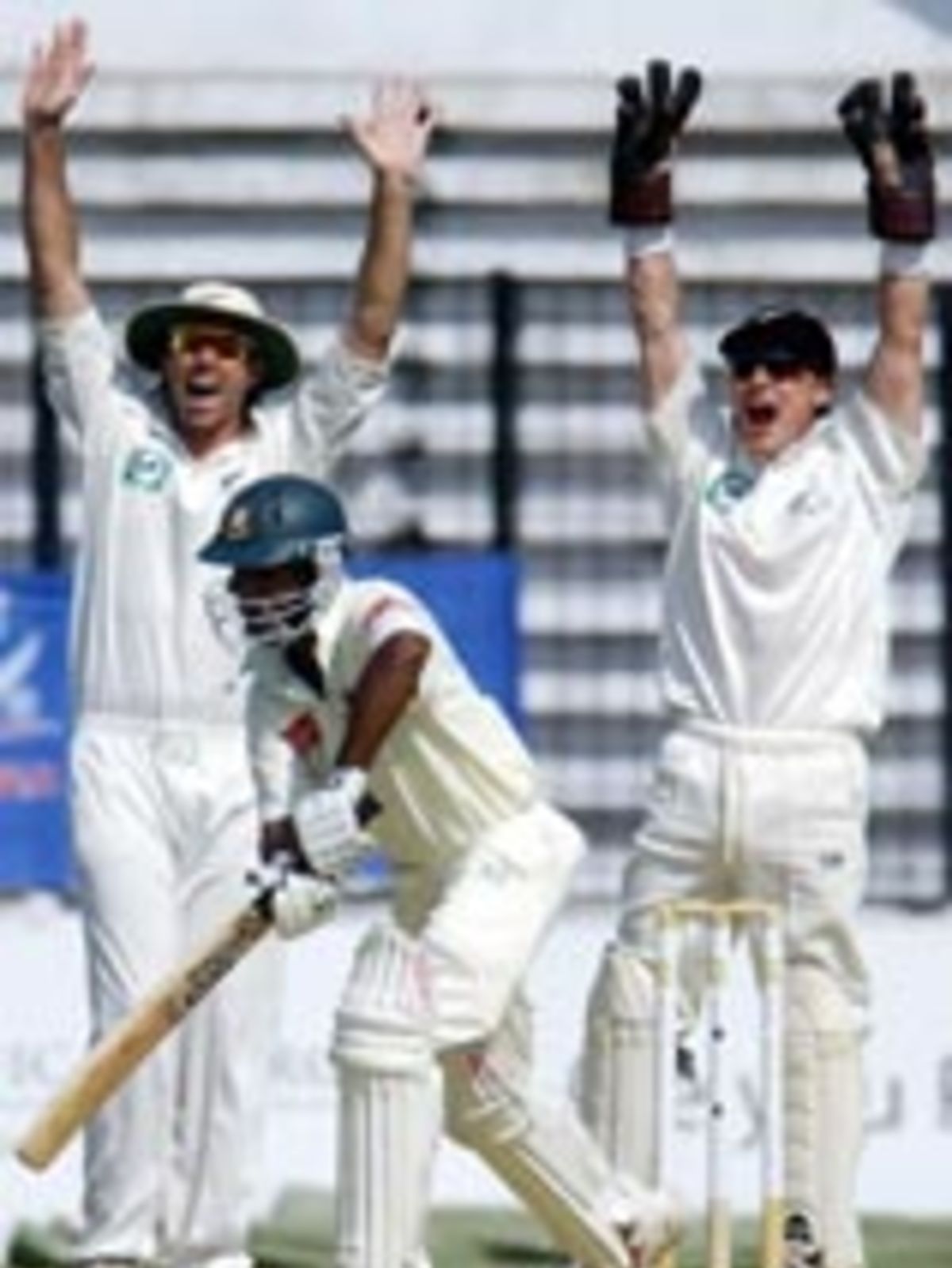 Stephen Fleming and Brendon McCullum appeal unsuccessfully against ...