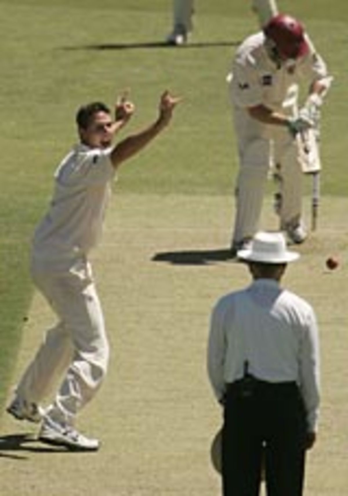 Shaun Tait traps Clinton Perren leg-before | ESPNcricinfo.com