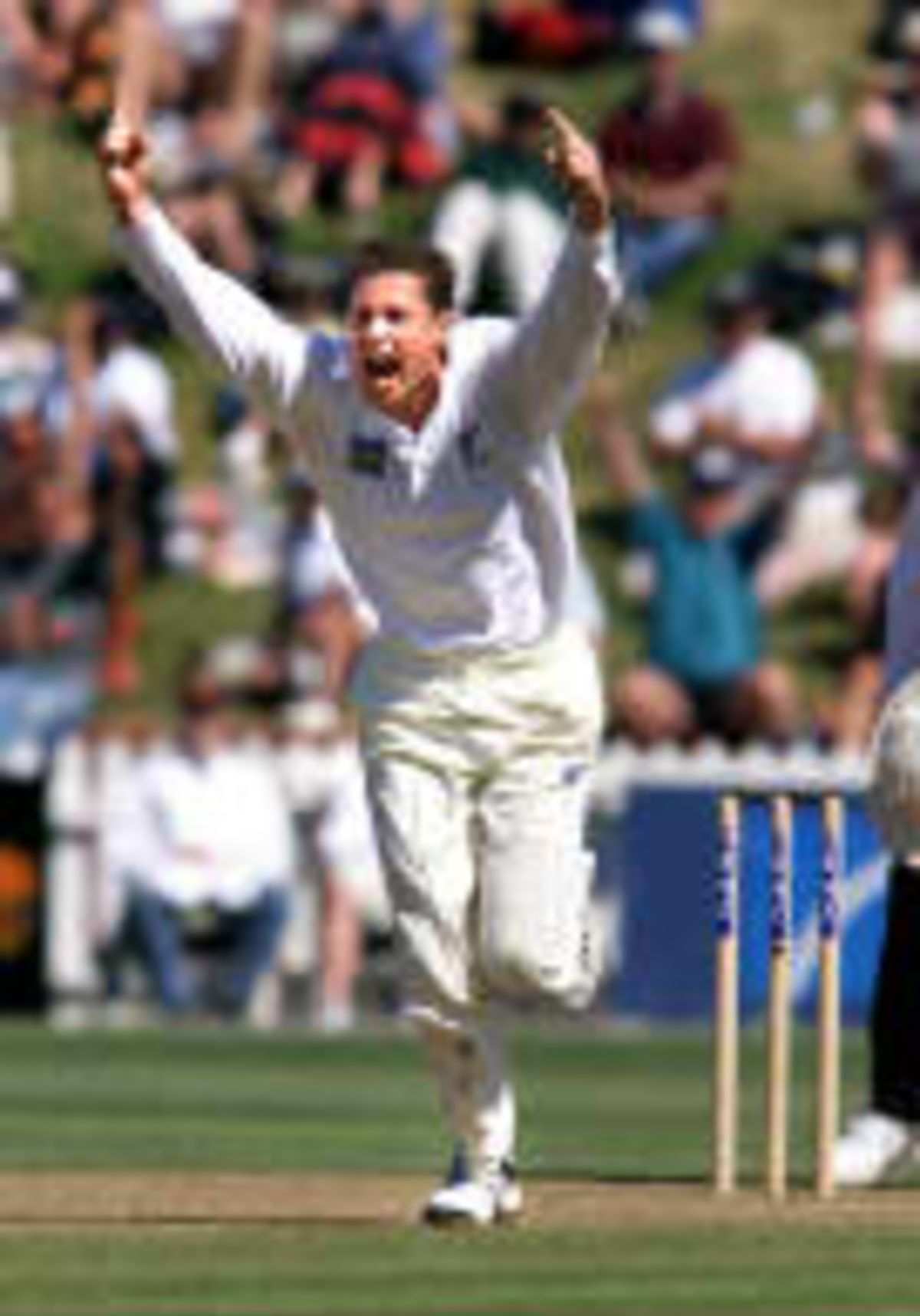 Paul Wiseman celebrates taking the wicket of Rahul Dravid ...