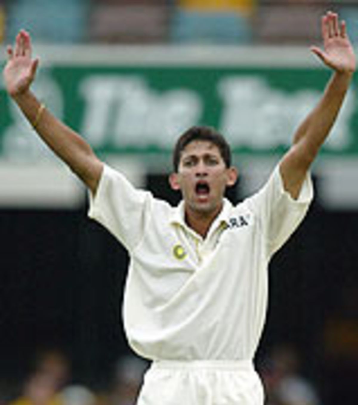 Ajit Agarkar celebrates | ESPNcricinfo.com