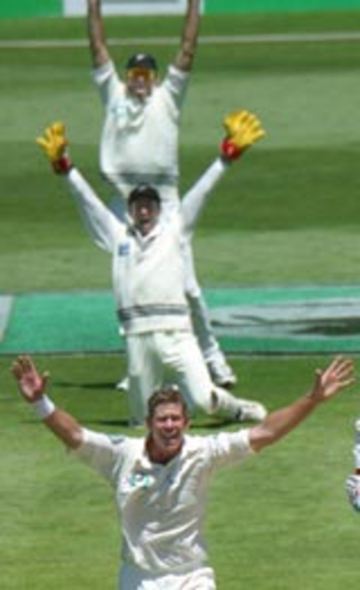 Ian Butler celebrates on his way to a six-for | ESPNcricinfo.com