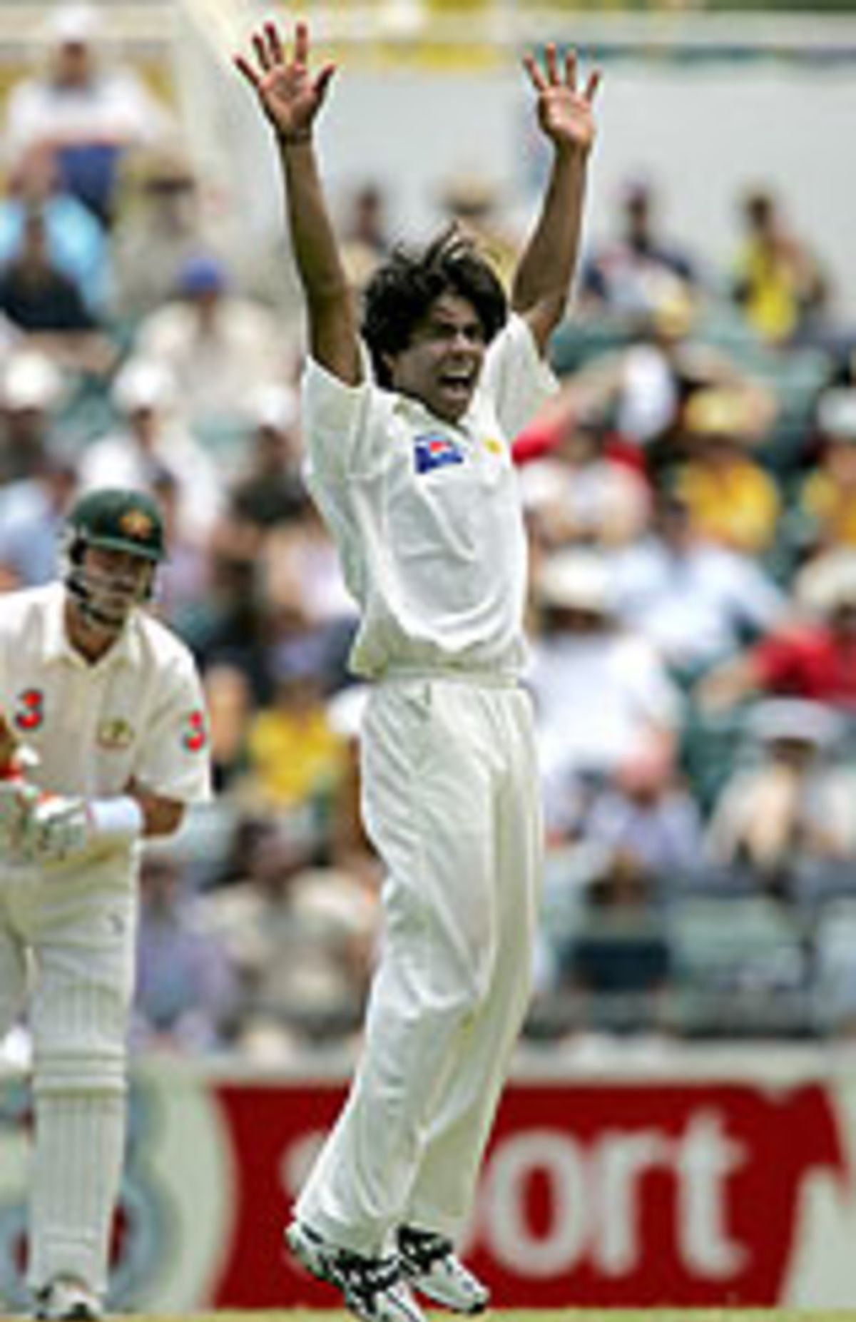 Mohammad Sami appeals for a leg-before decision | ESPNcricinfo.com