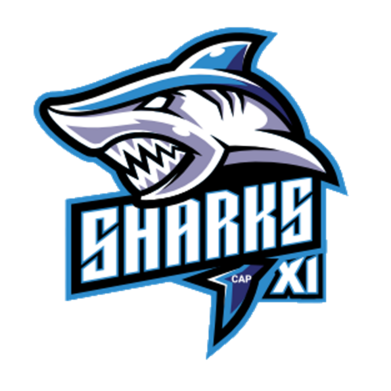 Sharks XI team logo | ESPNcricinfo.com