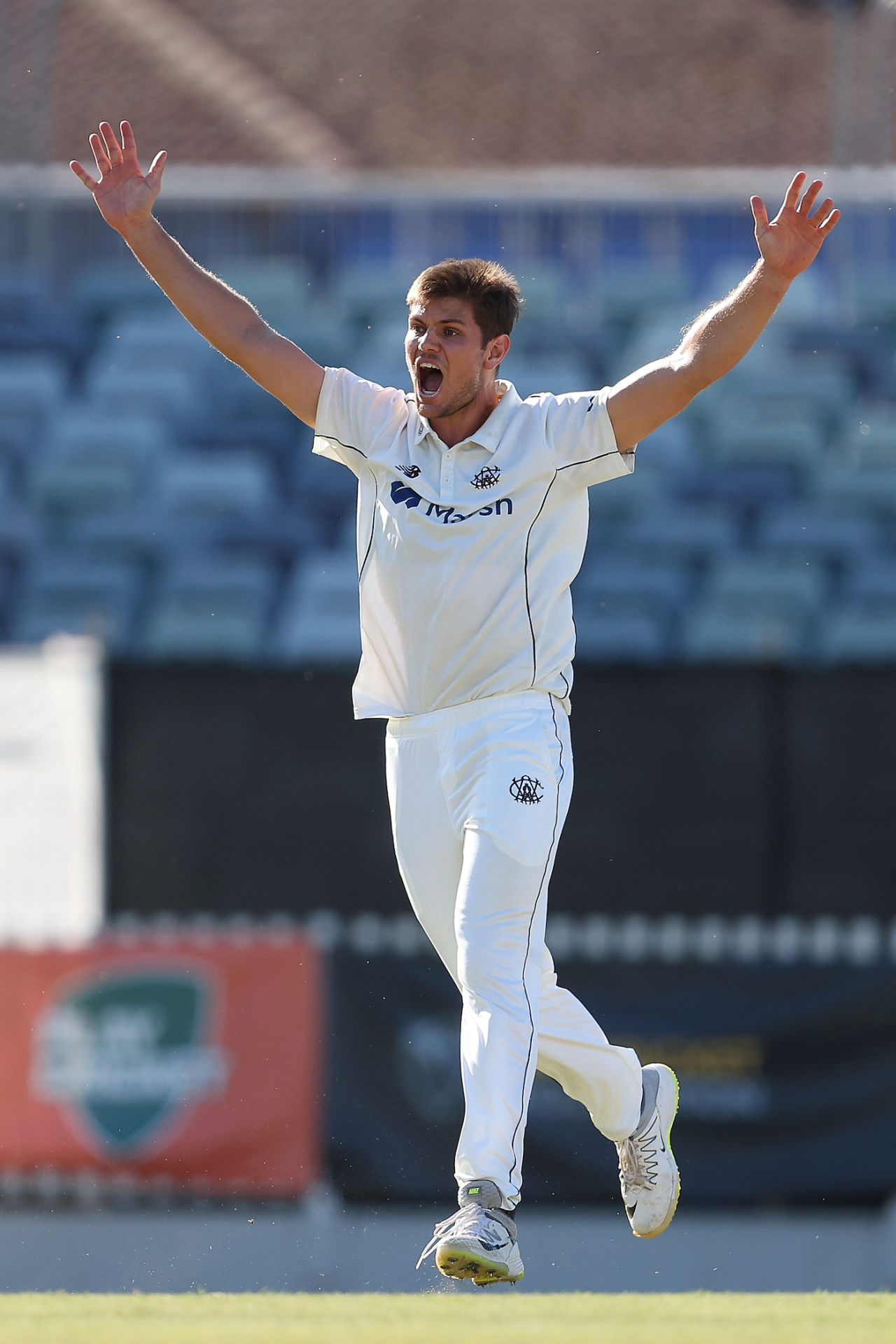 Aaron Hardie has put in a big all-round show in the game | ESPNcricinfo.com