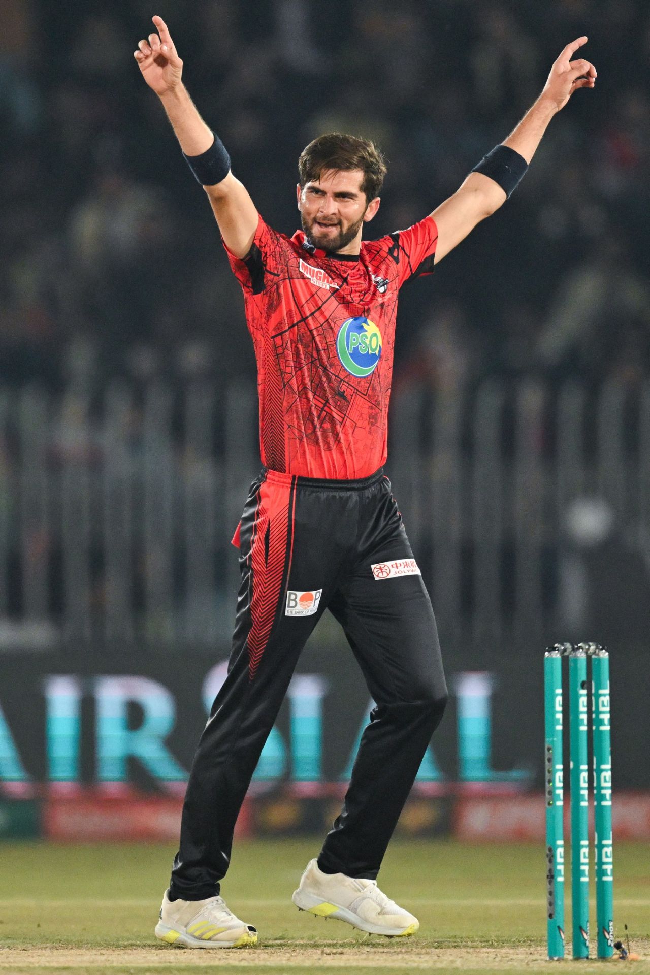Shaheen Afridi brings out his trademark celebration | ESPNcricinfo.com Shaheen Afridi brings out his trademark celebration | ESPNcricinfo.com