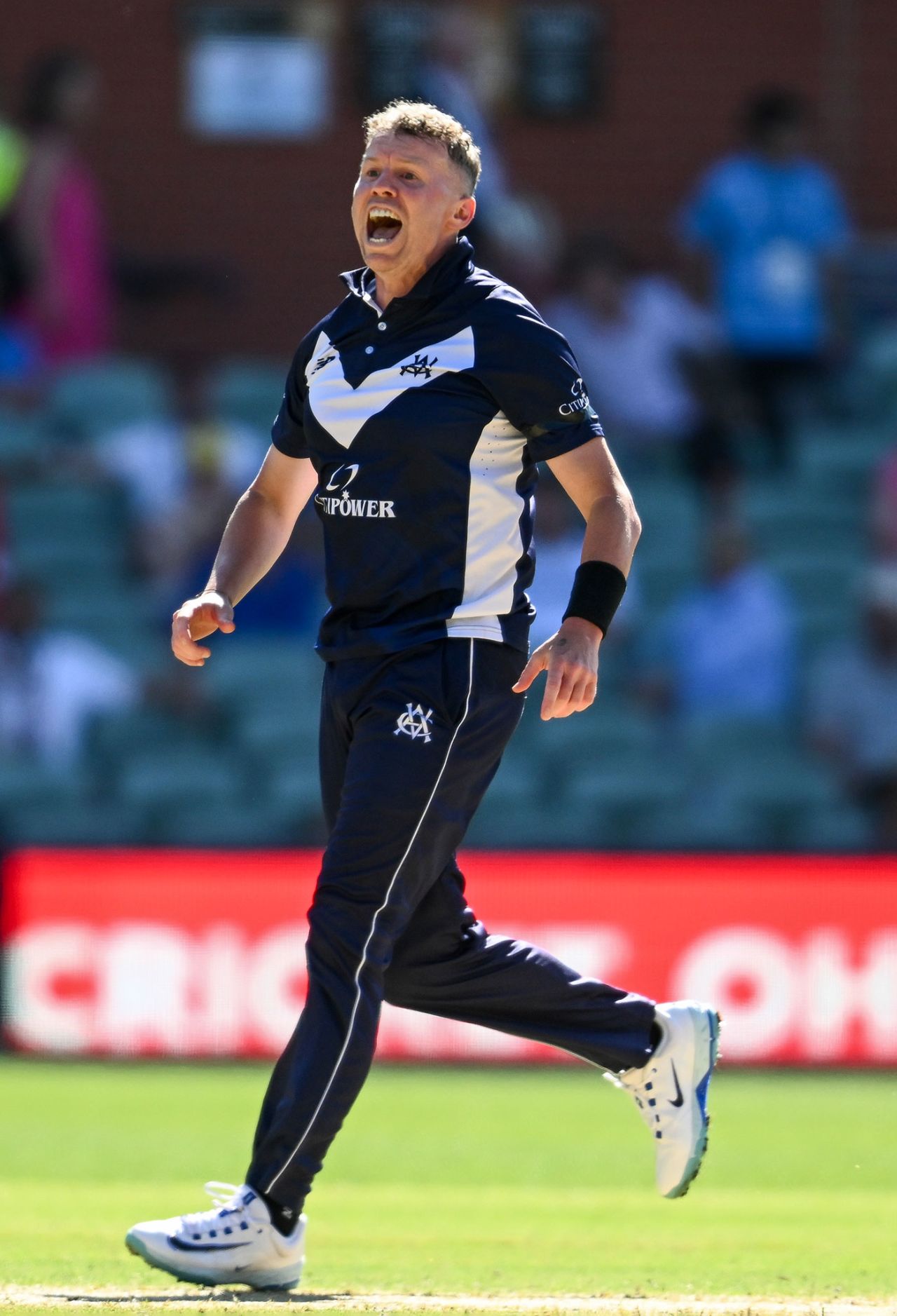 Peter Siddle bowled superbly in what will likely be his last one-day ...