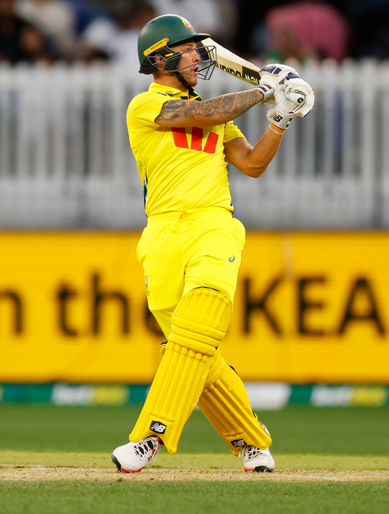 Josh Philippe made a good impression on his return to the side ...