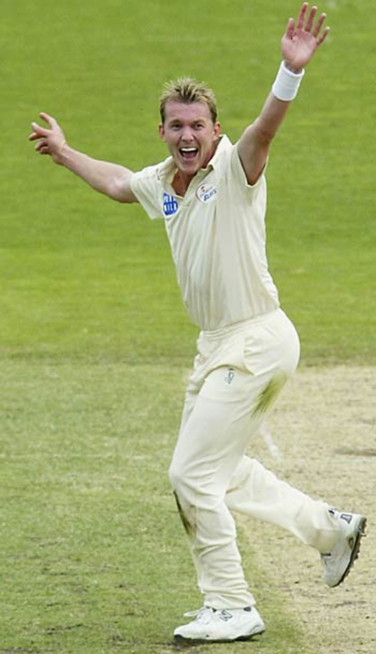 Brett Lee celebrates the dismissal of Shane Deitz | ESPNcricinfo.com