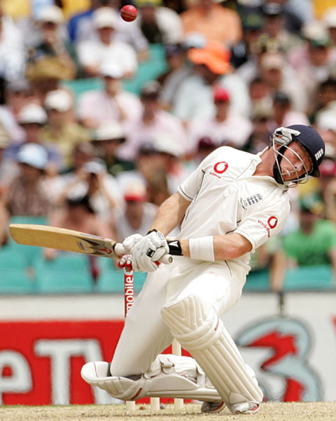 Stuart Clark celebrates having Alastair Cook caught behind ...