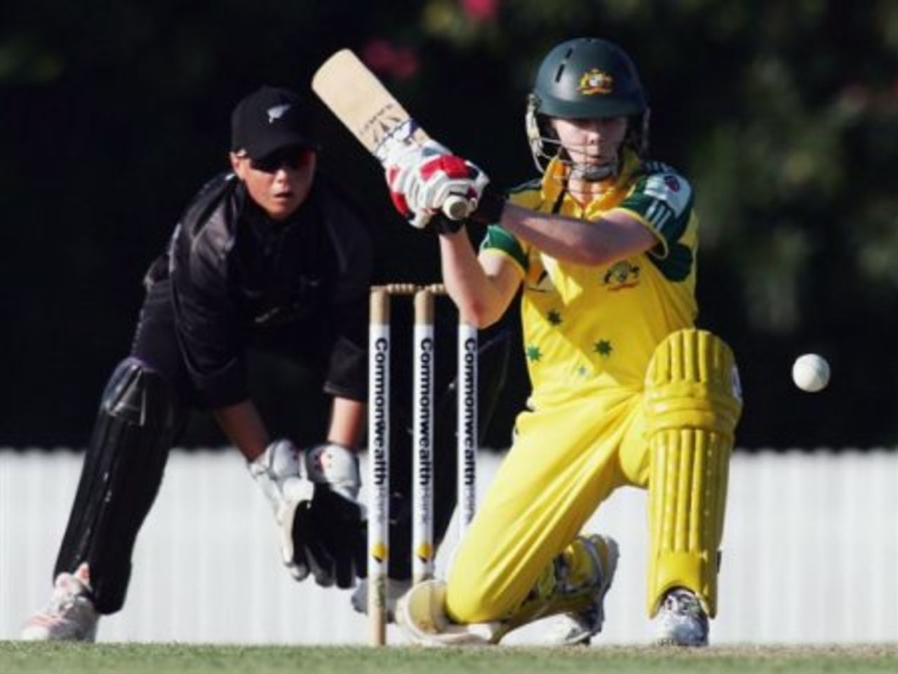 Alex Blackwell T20 v NZ | ESPNcricinfo.com