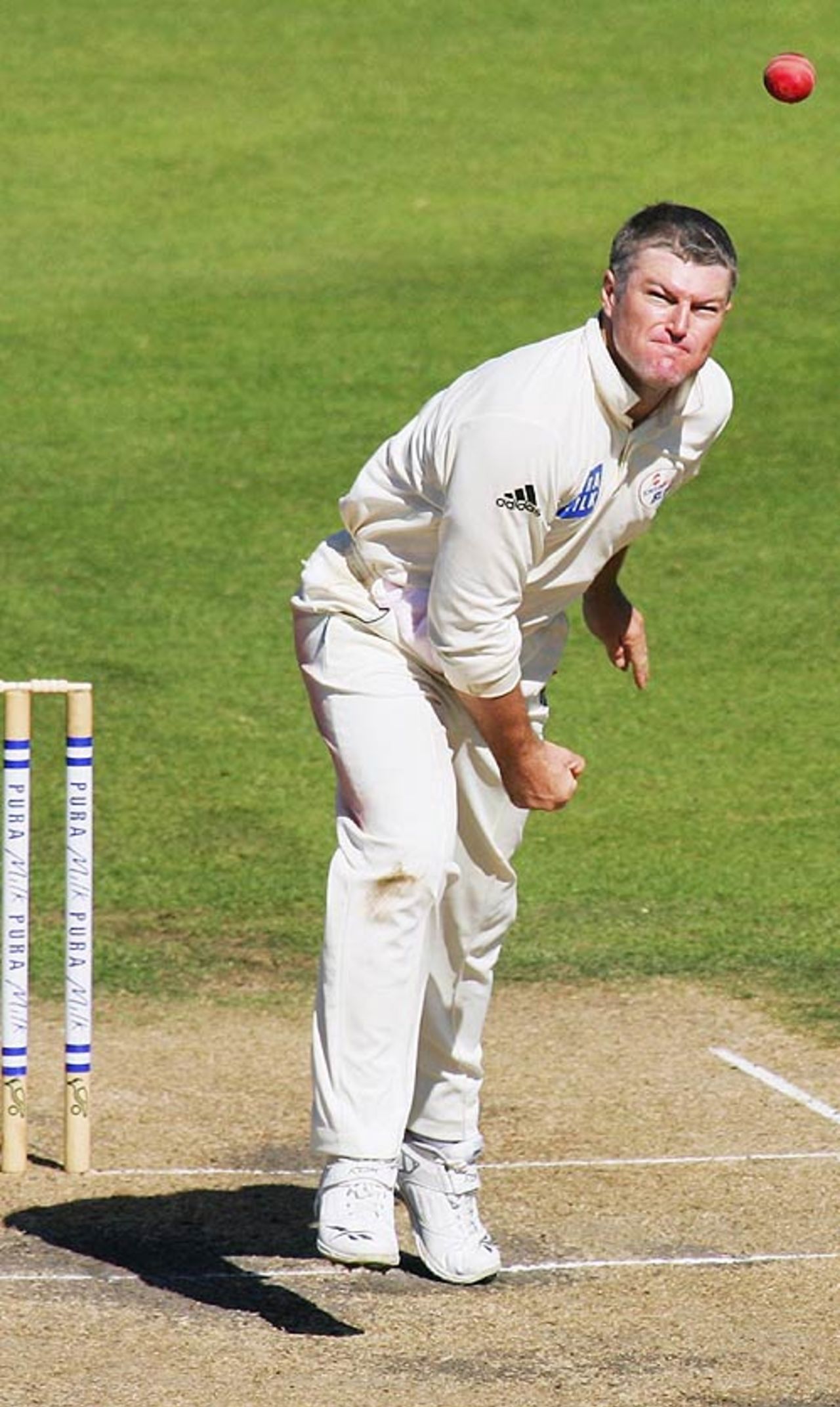 Stuart MacGill holds a return catch to remove Travis Birt | ESPNcricinfo.com