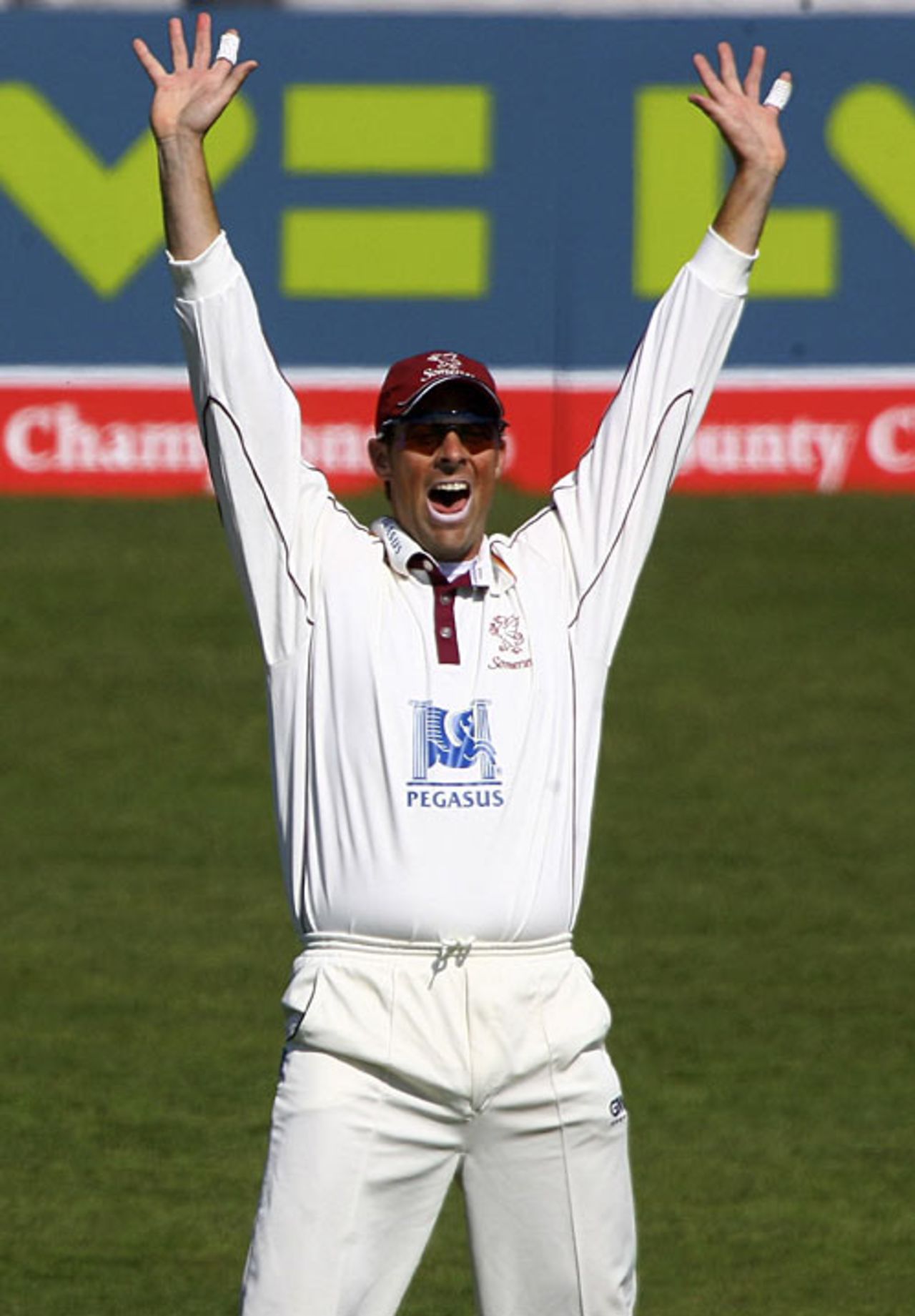 Marcus Trescothick and Justin Langer lead Somerset out for their ...