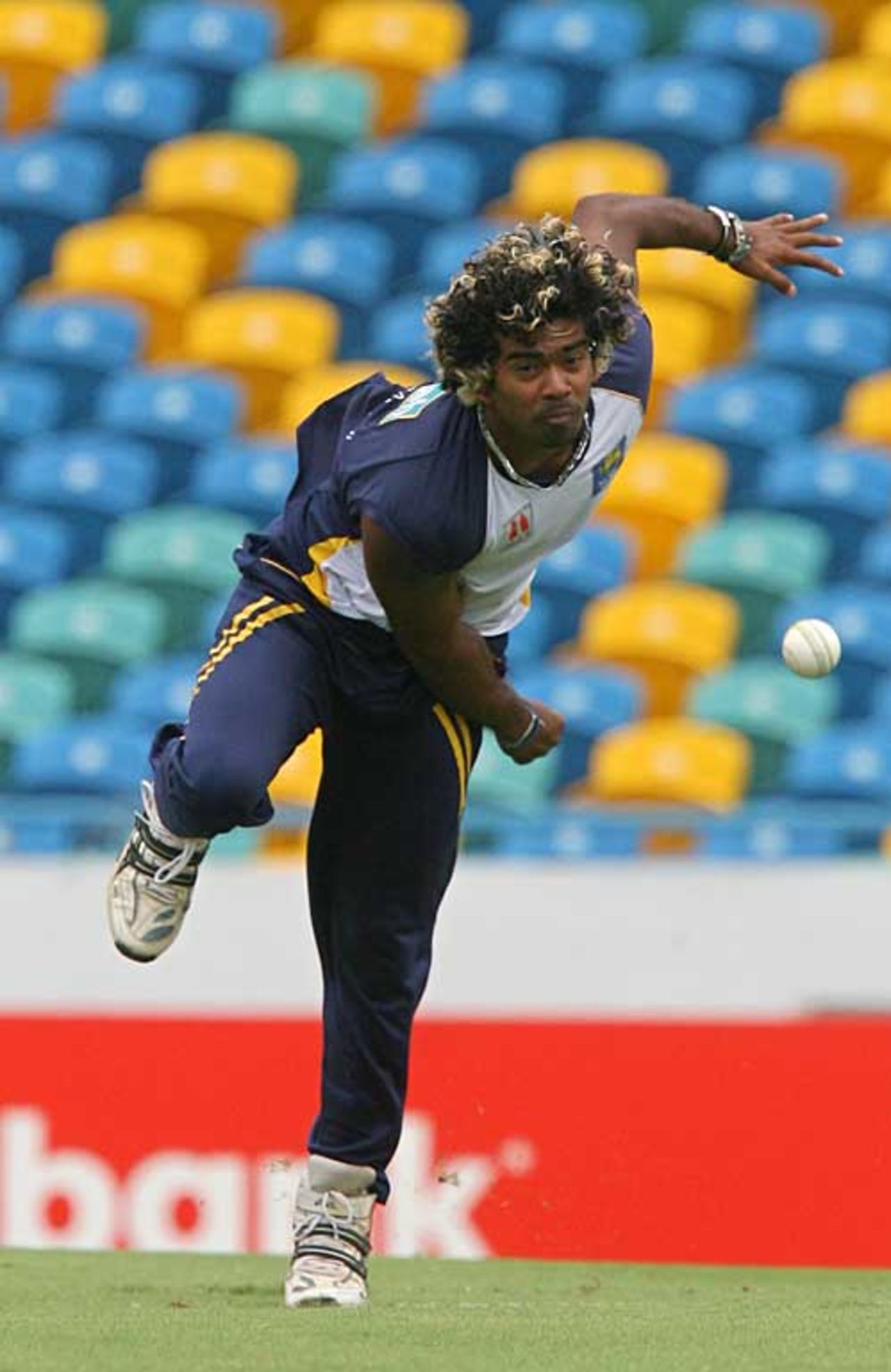 Lasith Malinga will go head-to-head with Shaun Tait in the World Cup ...