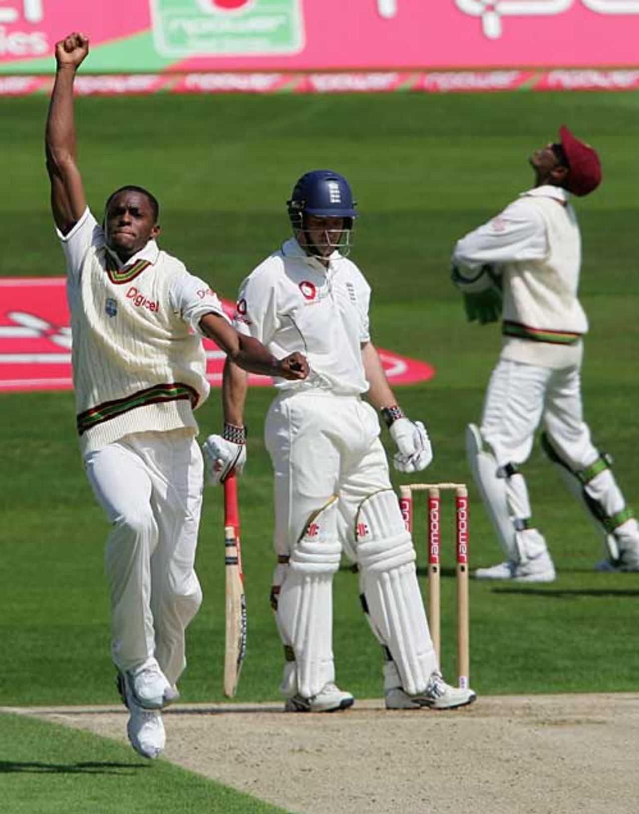 Daren Powell celebrates his first wicket | ESPNcricinfo.com