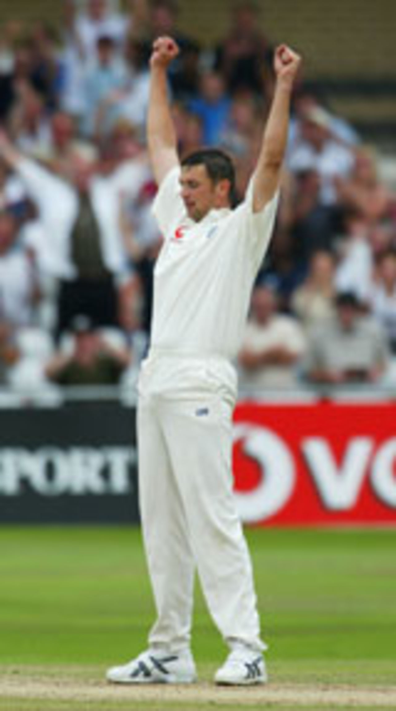 Stephen Harmison celebrating a wicket | ESPNcricinfo.com