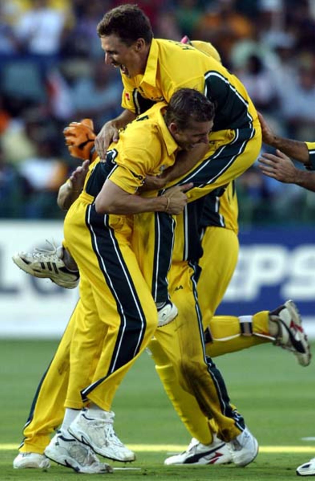 The World Cup is won - Darren Lehmann celebrates after taking the ...