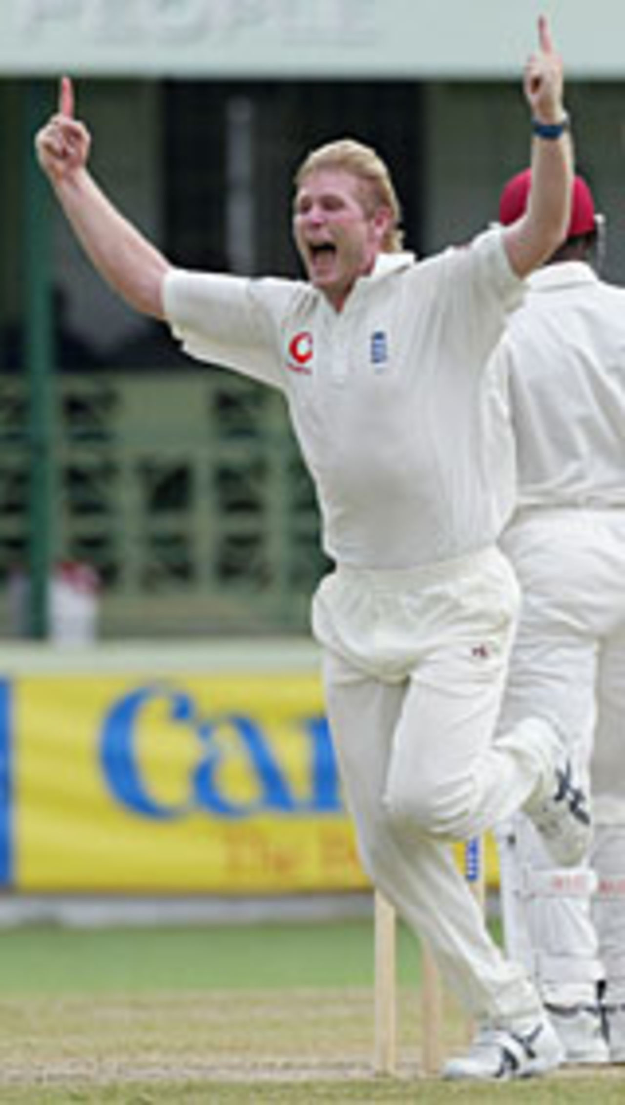 Matthew Hoggard celebrates his hat-trick | ESPNcricinfo.com